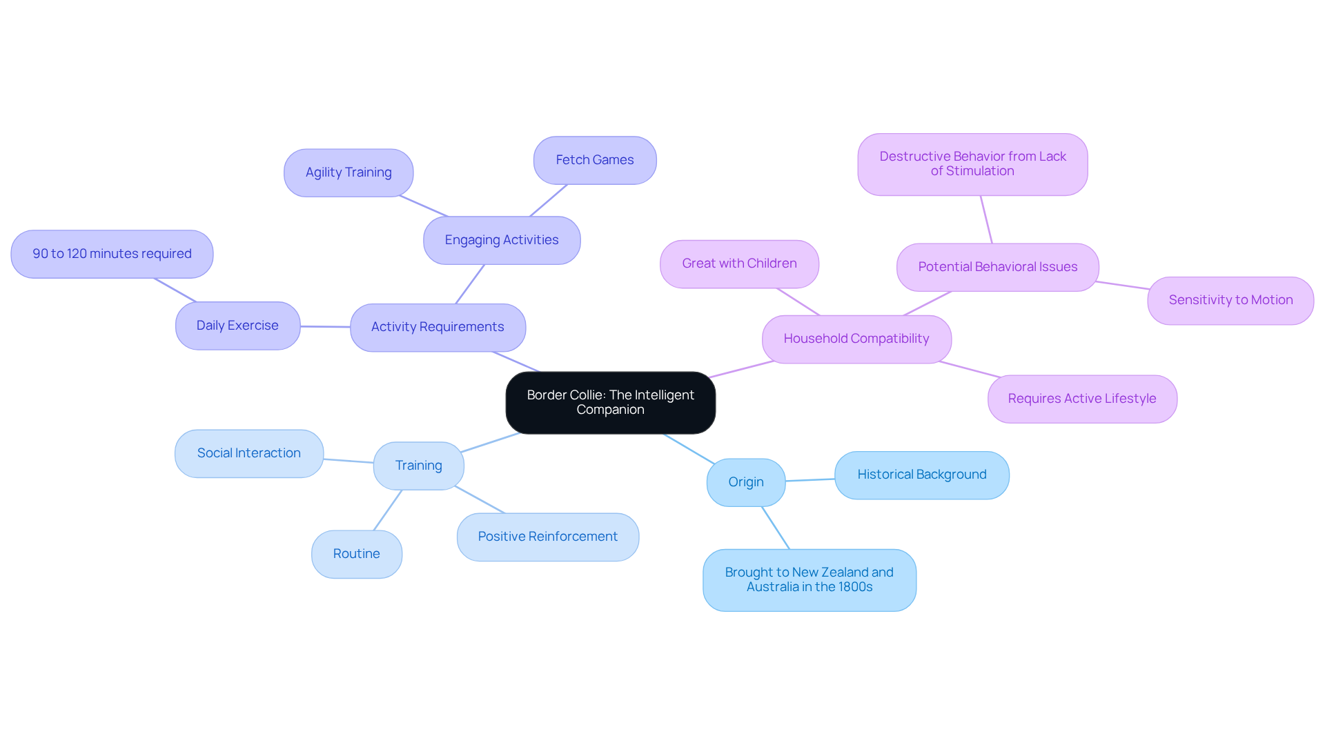 This mindmap shows various aspects of Border Collies. Start at the center to explore their origins, training methods, how much exercise they need, and why they make great family pets.