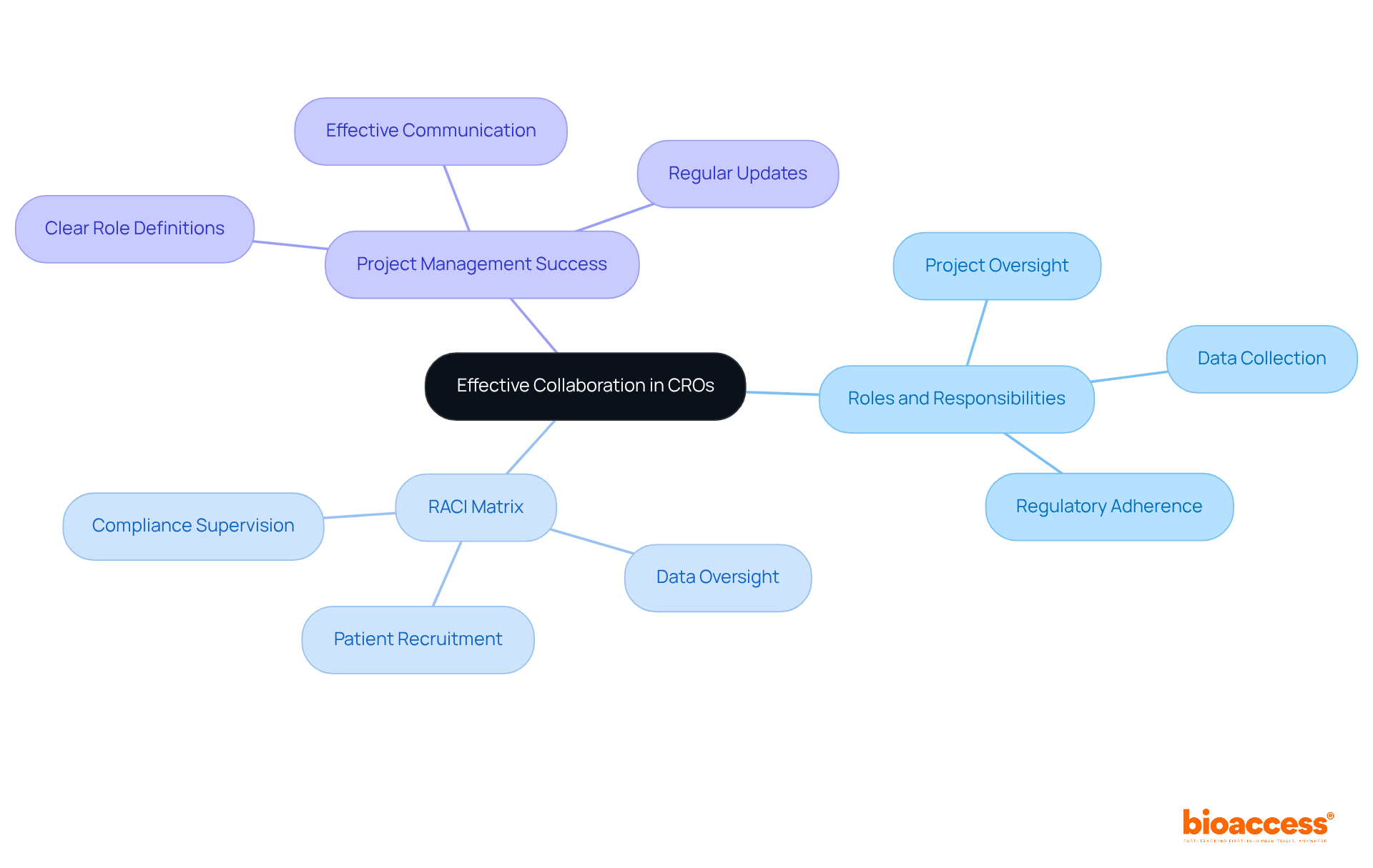 The central idea represents the importance of collaboration, while the branches show specific roles and tasks. Each color-coded section helps you understand how different responsibilities connect to the overall project.