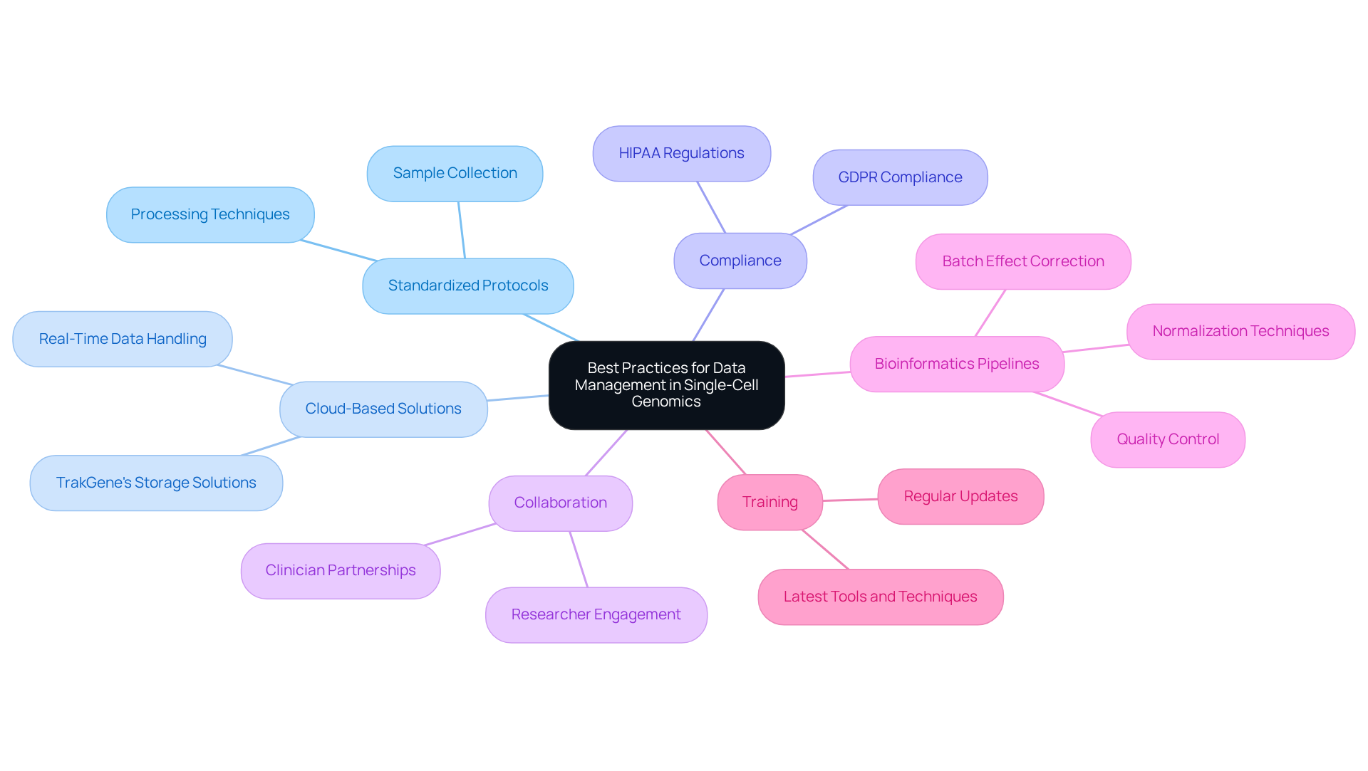 The central node represents the main theme, while the branches show different areas of focus. Each sub-branch provides specific practices or tools related to that area, helping you understand how they contribute to effective data management.