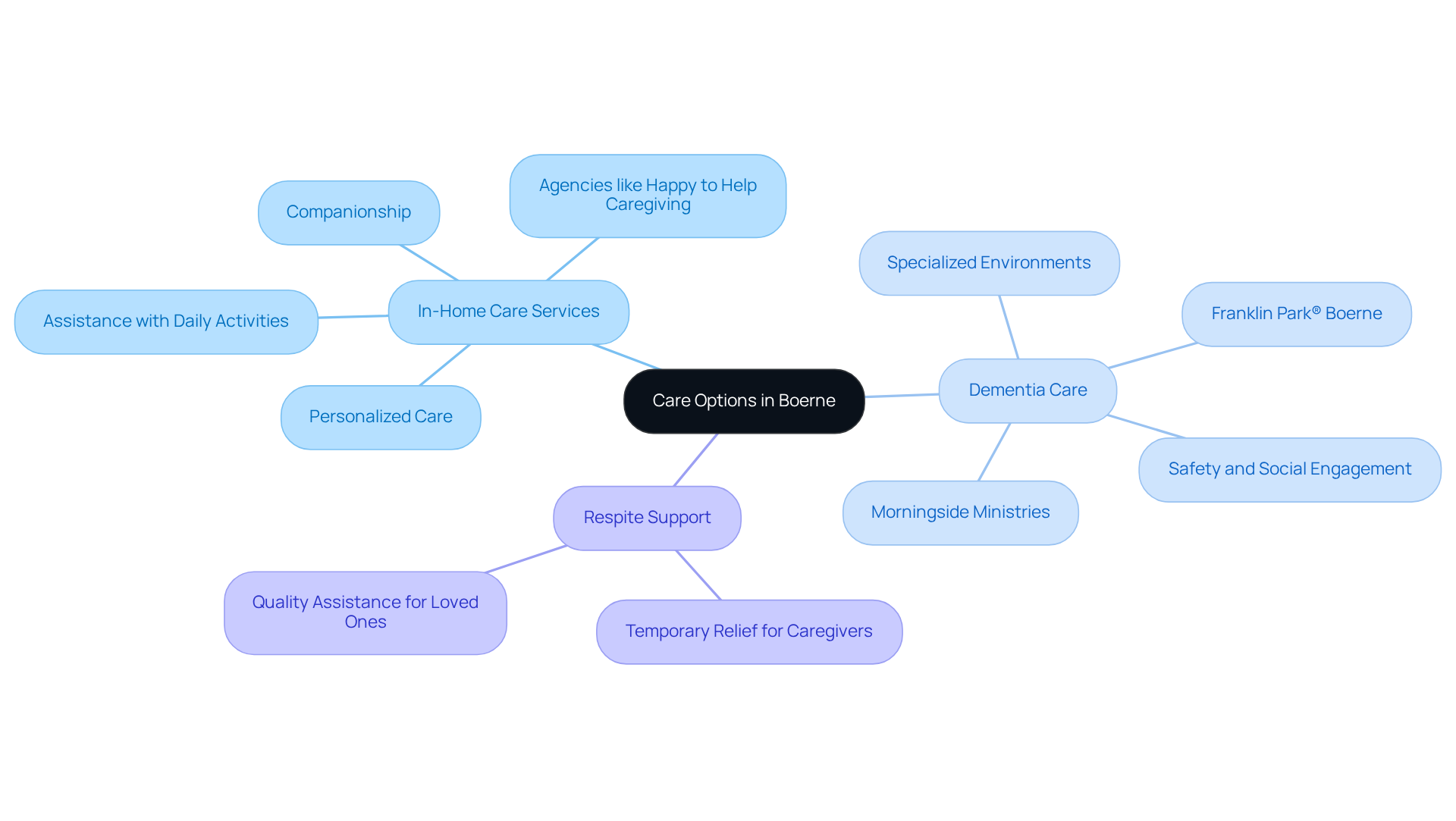 The central node shows the main topic of care options. Branches represent different types of care services available, and their sub-branches provide examples or specific features of each service.