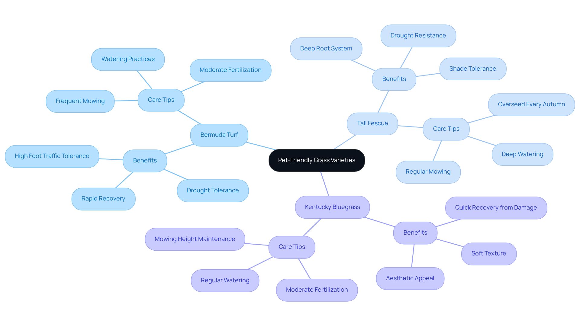 The center shows the main topic of grass types for pets, and each branch leads to a specific variety with its benefits. Follow the branches to learn about each type and how they can help create a great lawn for your furry friends.