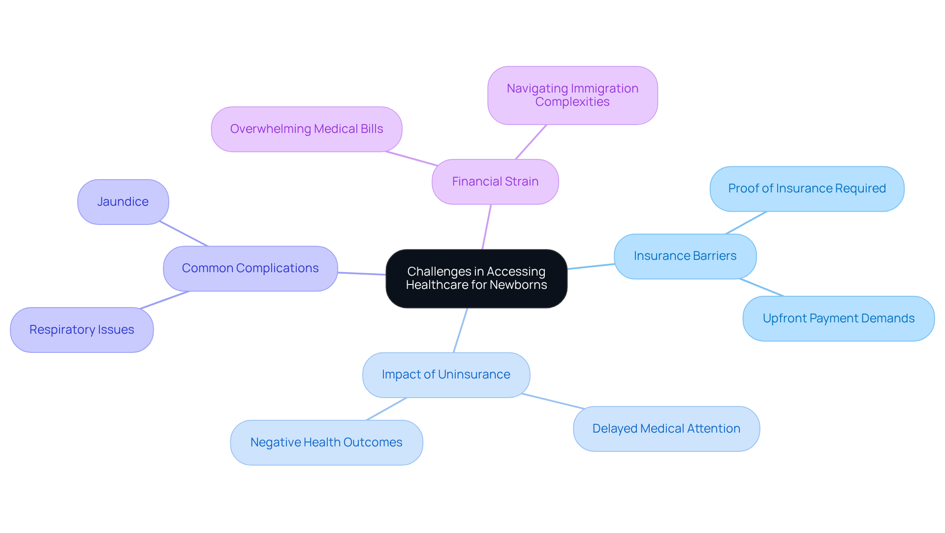 10 Desventajas de Tener un Hijo en Estados Unidos para Turistas