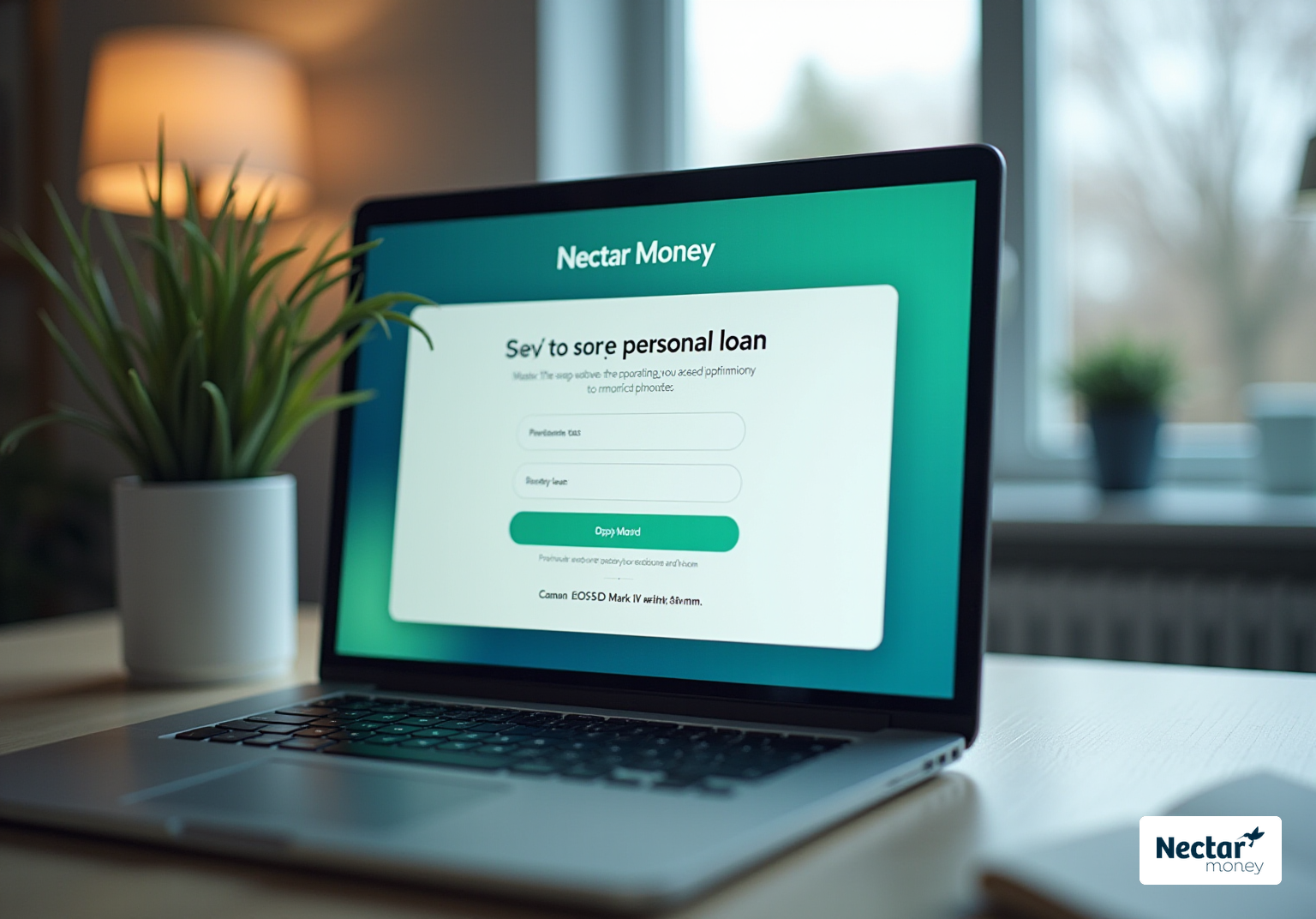 Streamlined Online Loan Application