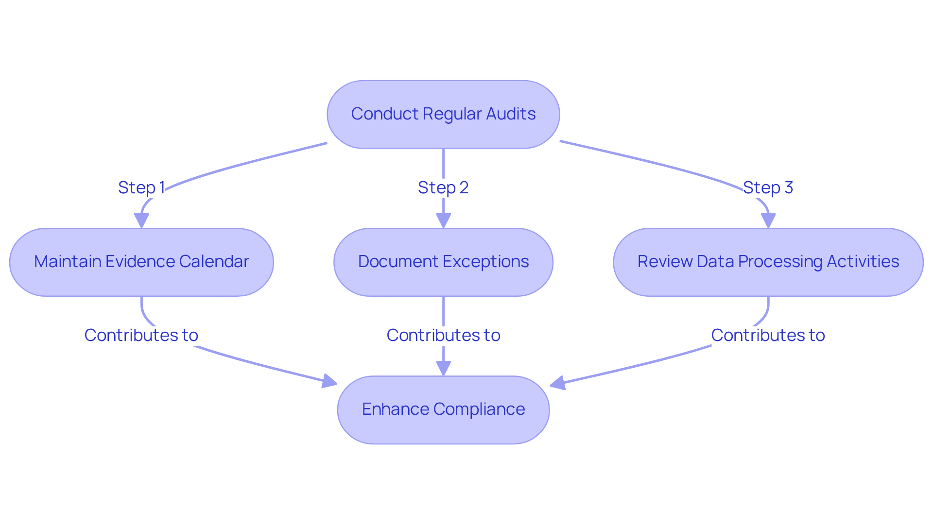 Follow the arrows to see the steps organizations should take for effective audits. Each box represents a crucial action that contributes to maintaining compliance with data protection standards.