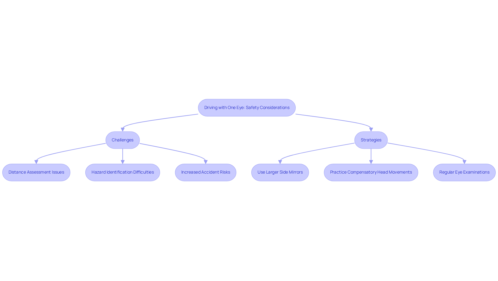 This flowchart outlines the challenges faced by drivers with one eye and the strategies they can adopt to enhance their safety. Follow the arrows to see how understanding the challenges can lead to effective strategies for safer driving. This flowchart outlines the challenges faced by drivers with one eye and the strategies they can adopt to enhance their safety. Follow the arrows to see how understanding the challenges can lead to effective strategies for safer driving.