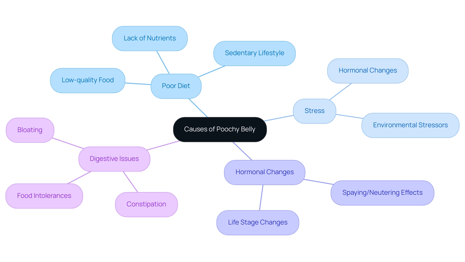 Each branch represents a contributing factor to a poochy belly, with sub-branches providing specific details related to each factor.