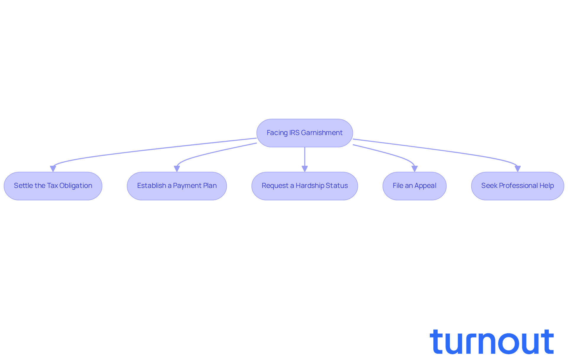 Each box represents a different option you can take to stop IRS garnishment. Follow the arrows to see the steps you can take to regain control over your Social Security benefits. Each box represents a different option you can take to stop IRS garnishment. Follow the arrows to see the steps you can take to regain control over your Social Security benefits.