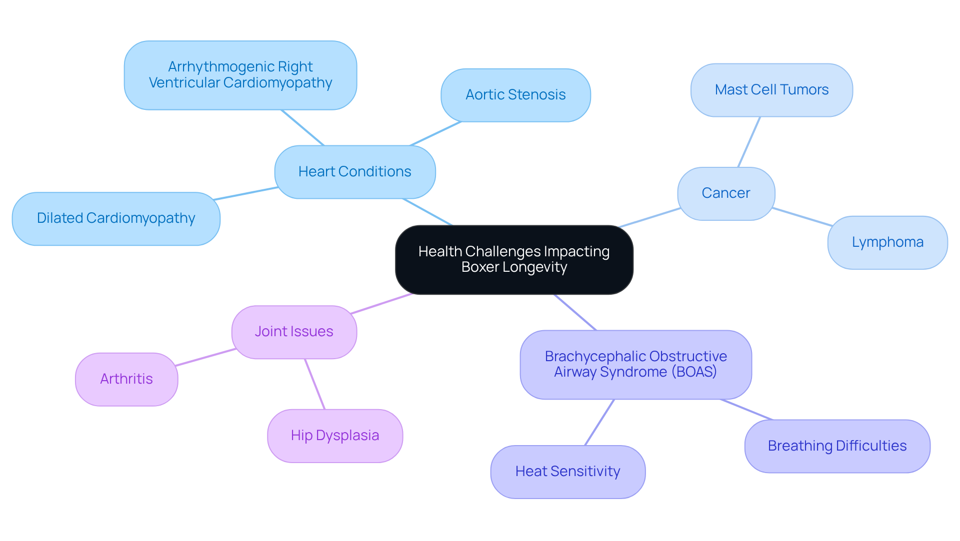 The center of the mindmap highlights the main topic, while the branches show different health challenges. Each branch explains specific conditions that can impact the life expectancy of Boxers.