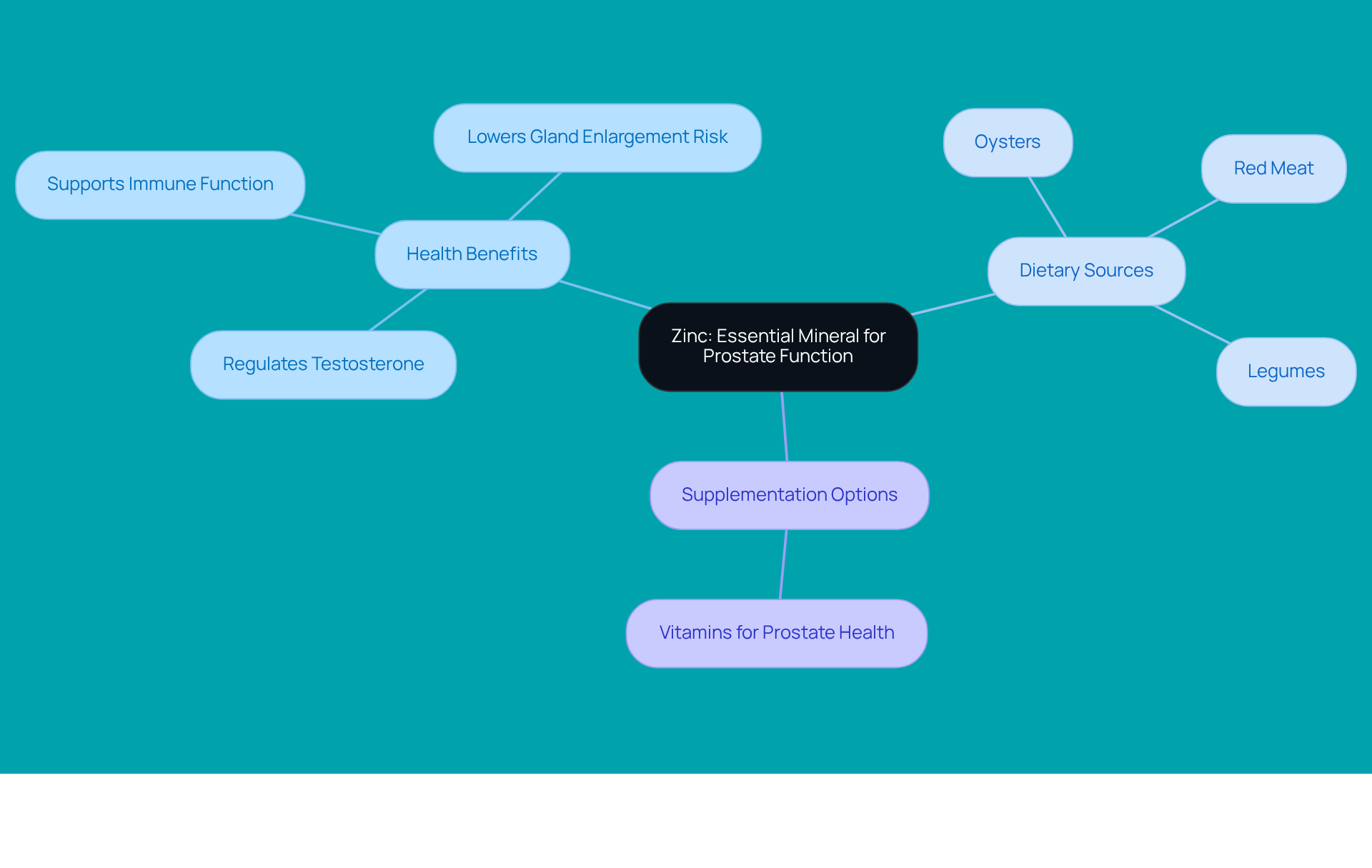 The central idea is zinc's importance for prostate health. Each branch shows related topics: health benefits, foods rich in zinc, and options for supplements. Follow the branches to explore how zinc can improve your well-being.