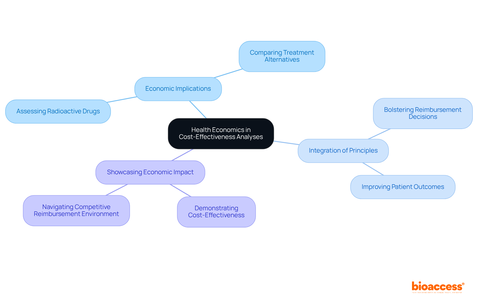 Start at the center with the main topic, then follow the branches to explore how health economics relates to cost-effectiveness in pharmaceuticals. Each branch represents a key area of focus, helping you understand the broader picture.