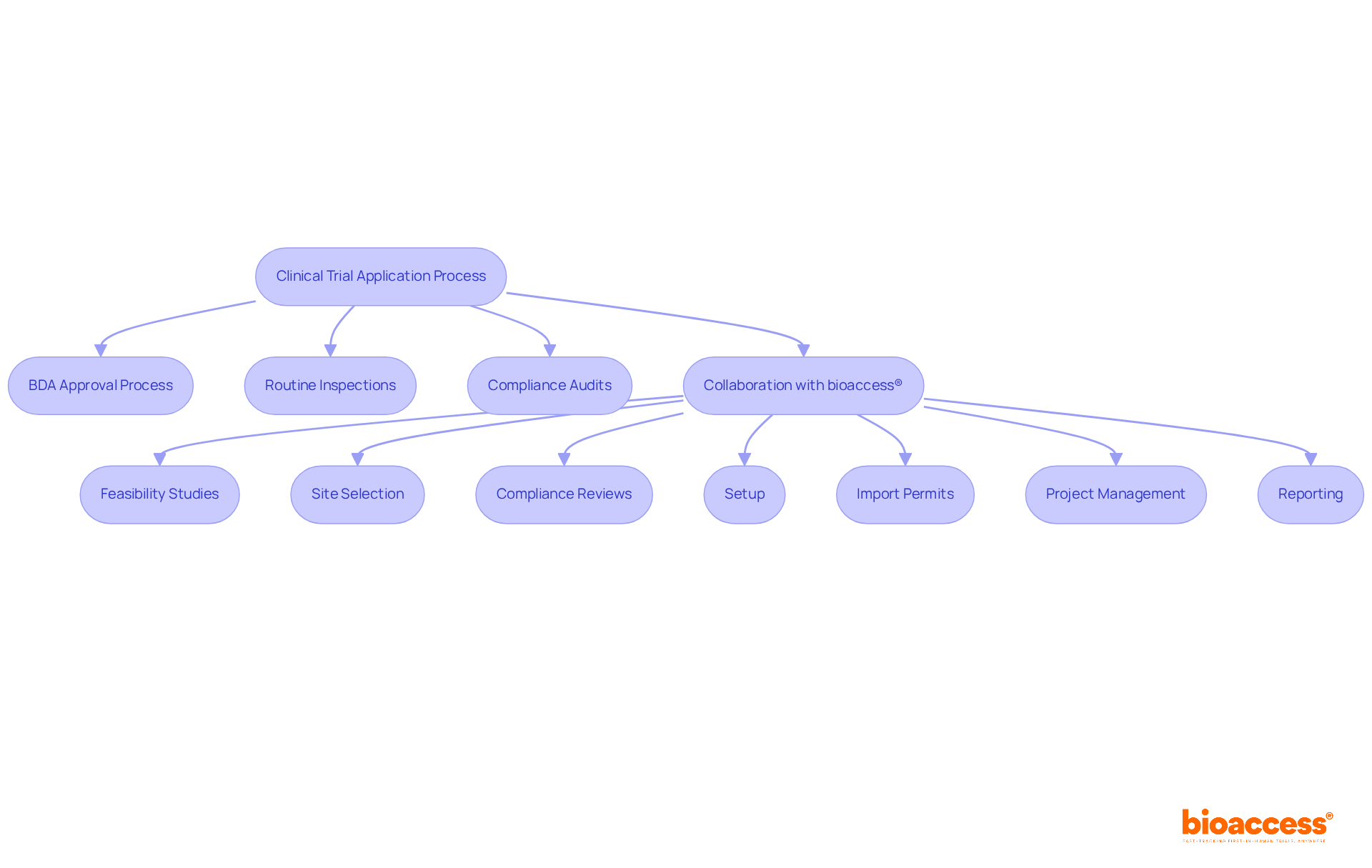 This flowchart outlines the steps involved in the clinical trial application process, showing how the BDA oversees approvals and how bioaccess® supports compliance. Follow the arrows to understand the sequence of actions and collaborations.