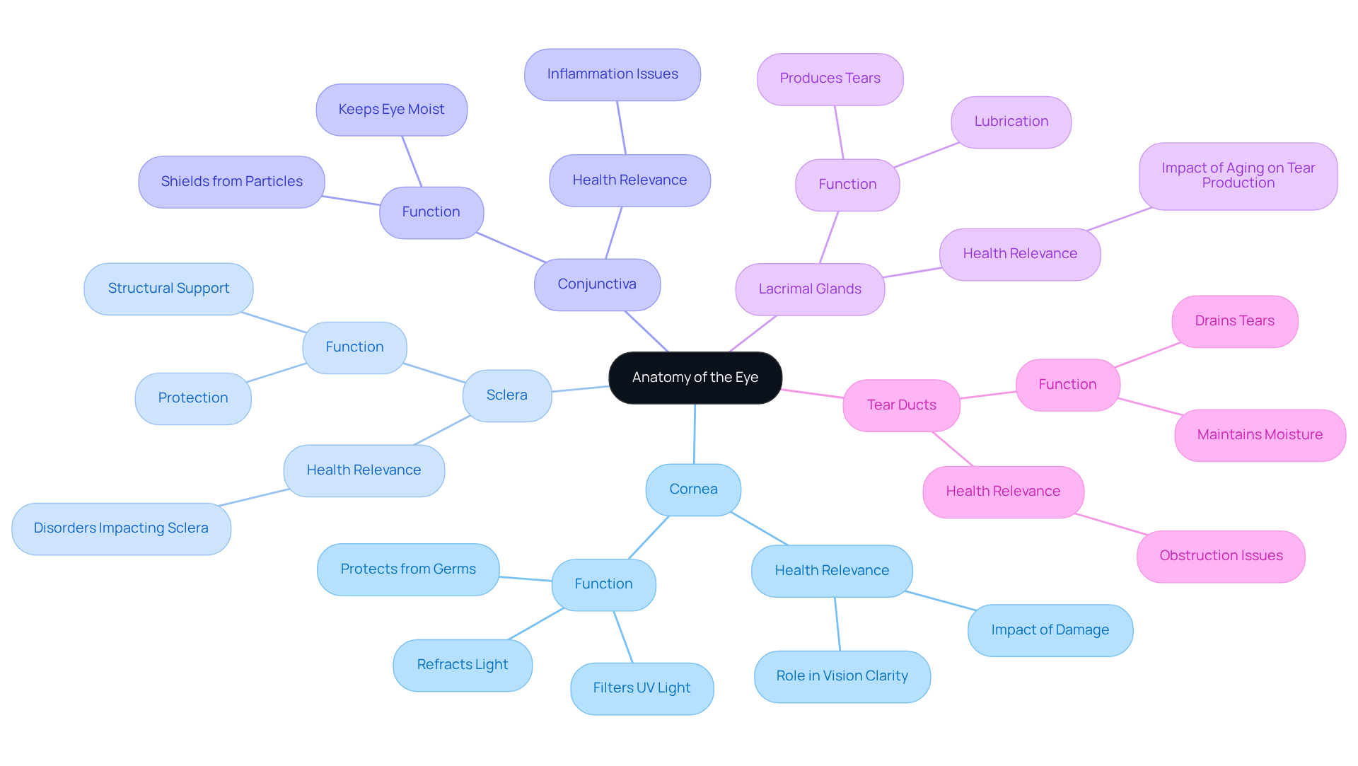 The central node represents the eye's anatomy, while the branches show each part's role in vision and health. Follow the branches to understand how these components relate to common discomforts. The central node represents the eye's anatomy, while the branches show each part's role in vision and health. Follow the branches to understand how these components relate to common discomforts.