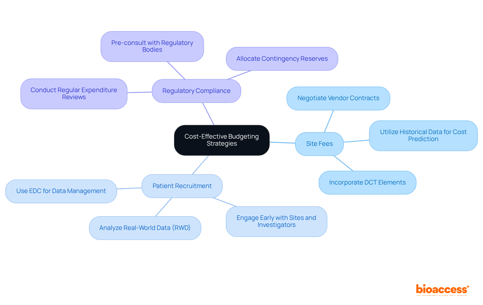 The central node represents the main topic of budgeting strategies. Each branch shows a key area of cost, and the sub-branches provide actionable strategies to manage those costs effectively.