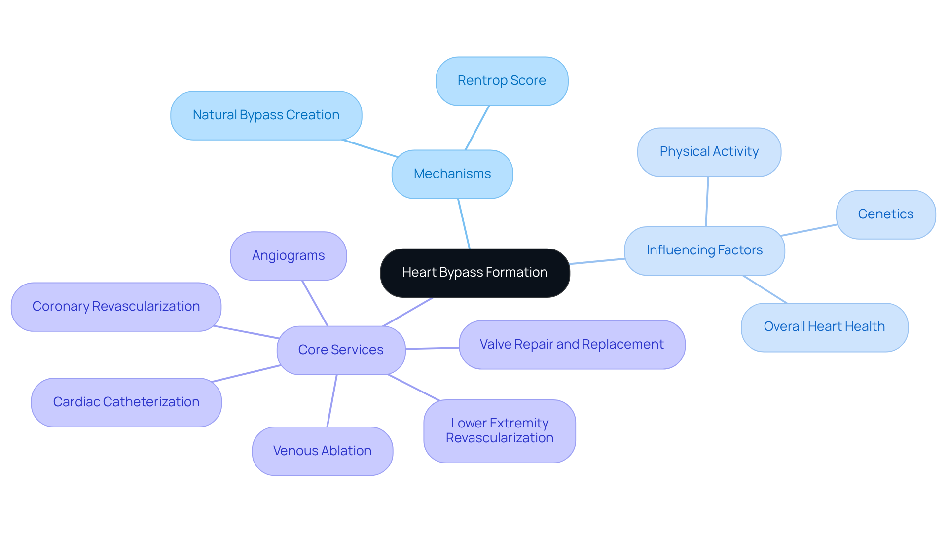 This mindmap starts with the main idea of heart bypass formation at the center. From there, you can explore how the heart adapts through mechanisms, what factors influence this process, and the core services offered to support heart health. Each branch represents a different aspect of heart health, helping you see how everything connects.