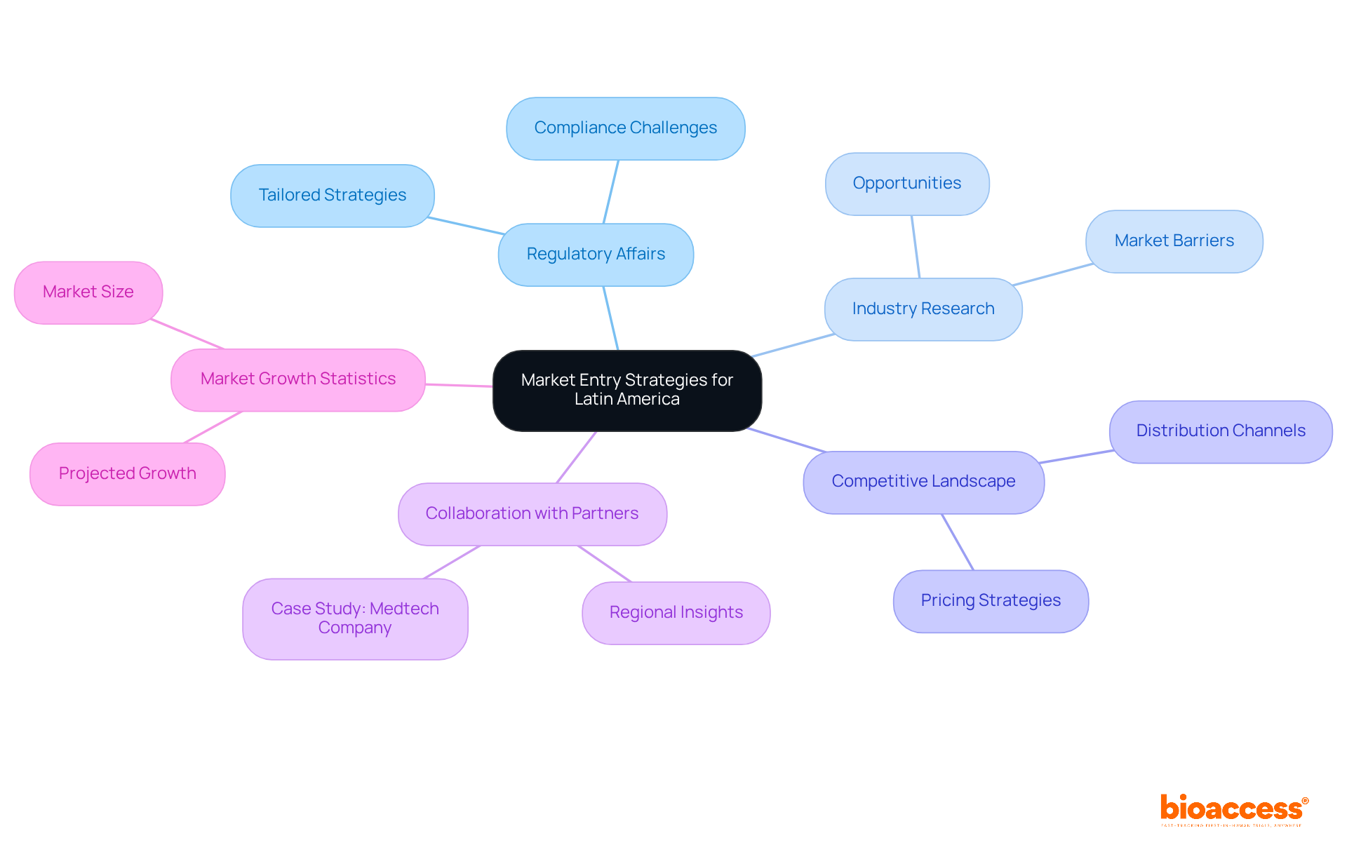 The central node represents the overall strategy, while the branches show different focus areas and actions needed for successful market entry. Each color-coded branch helps you quickly identify related topics.