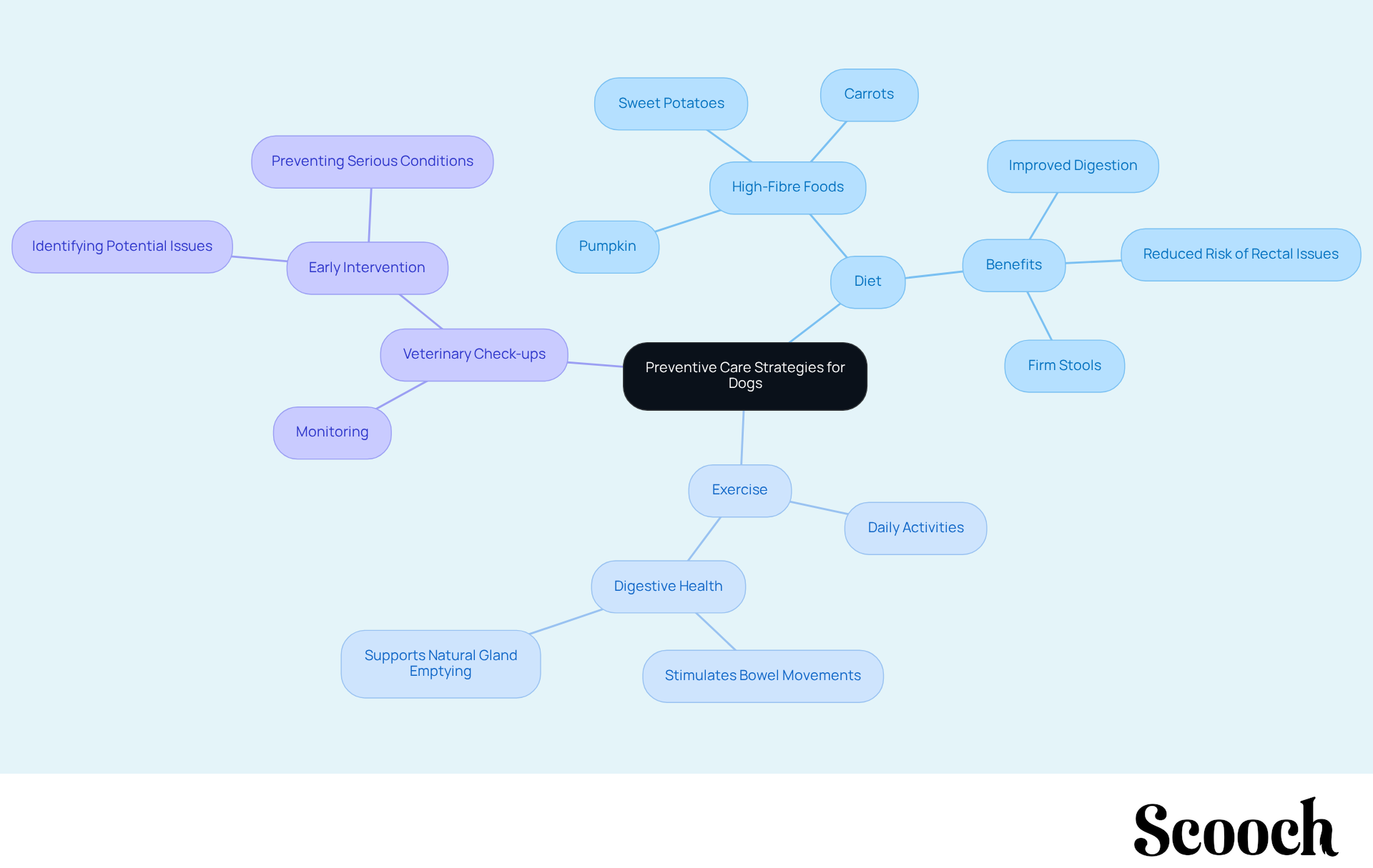 The central node represents the overall theme of preventive care, while the branches show specific strategies. Each sub-branch provides details on actions you can take to improve your dog's health.