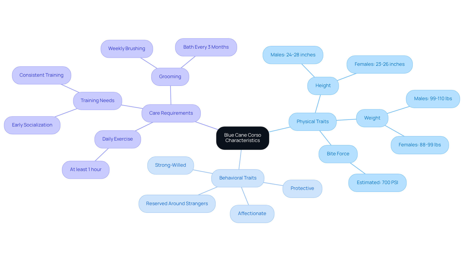 This mindmap shows the key traits of the blue cane corso. Start in the center to see the main categories, then follow the branches to learn about their physical traits, behavior, and care needs.