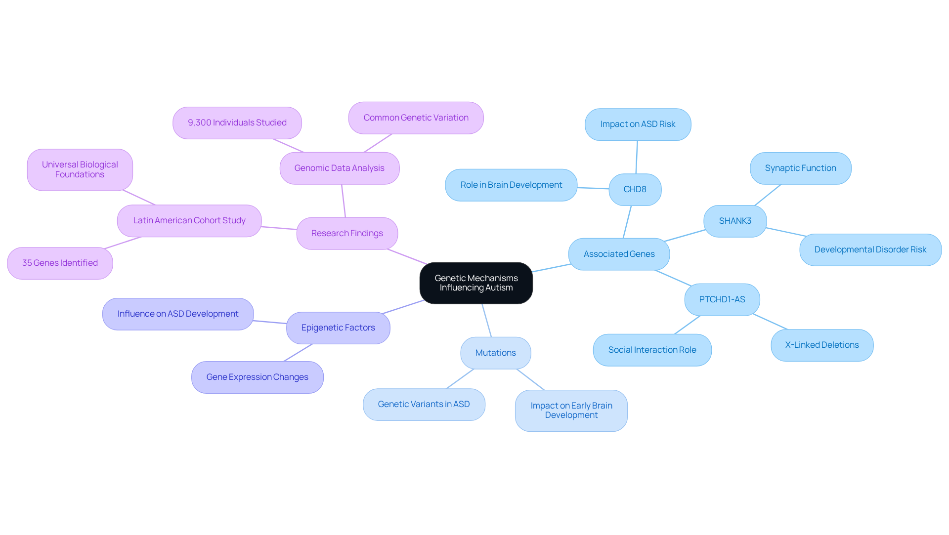 The central node represents the overarching theme of genetic influences on autism. Each branch highlights a specific area of research or a gene, showing how they relate to the broader topic. Follow the branches to explore the connections between genes and their roles in autism.