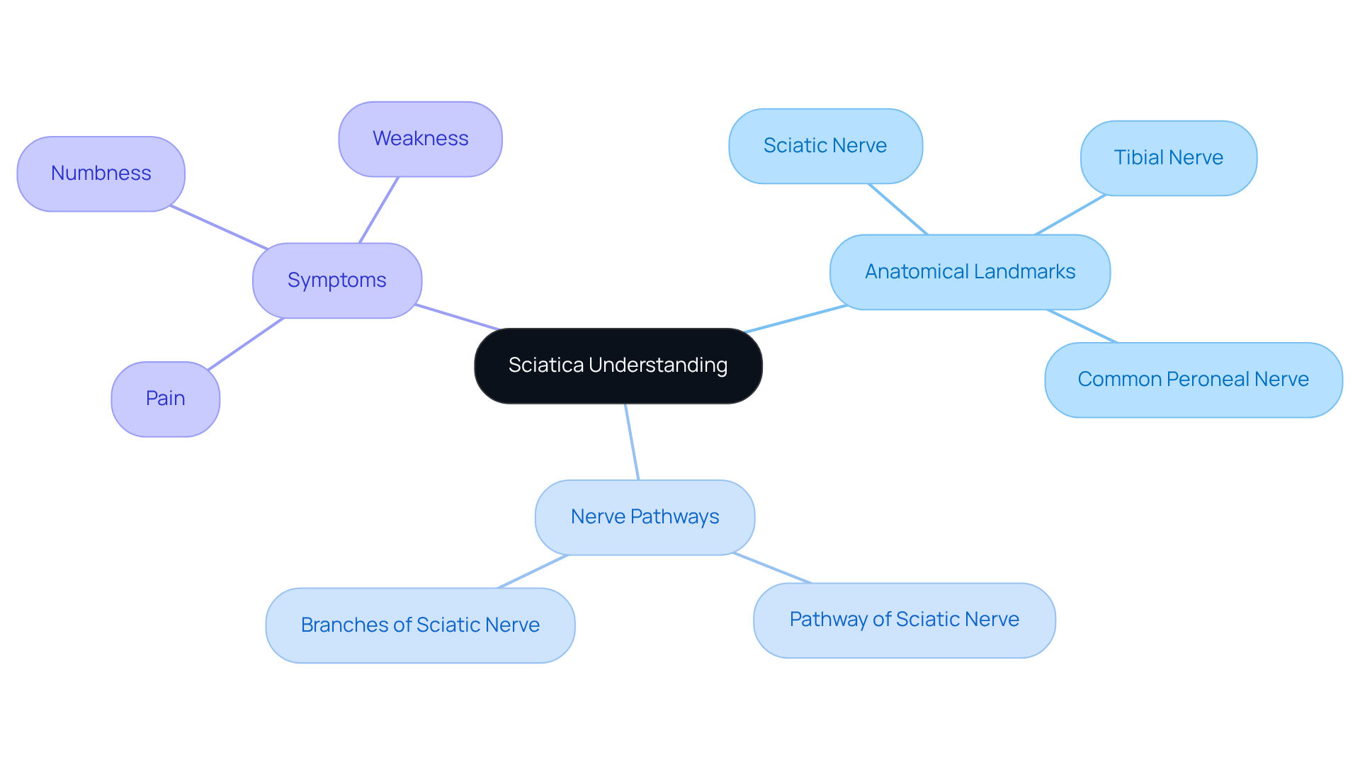 This mindmap helps you visualize the key elements of understanding sciatica. Start at the center with the main topic, then follow the branches to explore anatomical landmarks, nerve pathways, and symptoms. Each color-coded branch represents a different aspect of sciatica, making it easier to see how everything connects. This mindmap helps you visualize the key elements of understanding sciatica. Start at the center with the main topic, then follow the branches to explore anatomical landmarks, nerve pathways, and symptoms. Each color-coded branch represents a different aspect of sciatica, making it easier to see how everything connects.