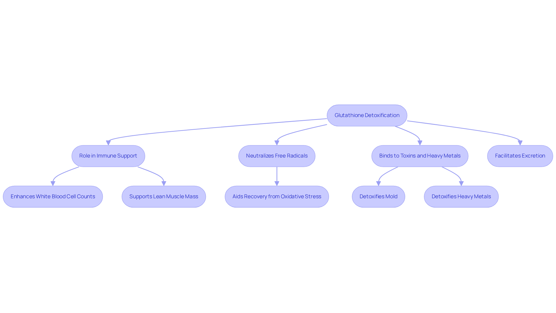 This flowchart illustrates how glutathione helps detoxify the body. Start with glutathione at the top, then follow the arrows to see how it supports immune health, neutralizes harmful substances, and aids in their removal from the body. Each step highlights the importance of maintaining adequate levels of this antioxidant for overall well-being.