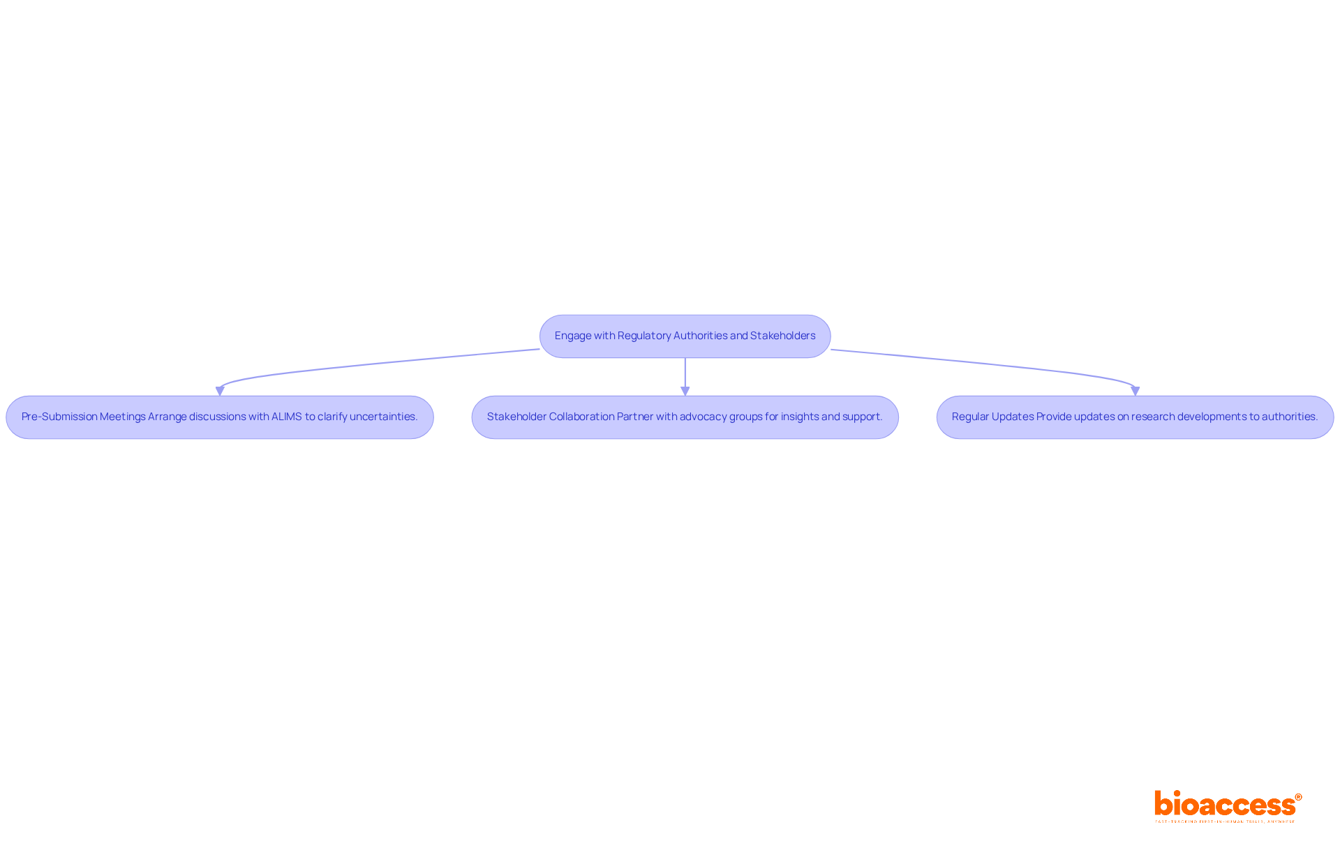 Each box represents a key strategy for engaging with authorities and stakeholders. Follow the arrows to see how these strategies connect to enhance your application process.