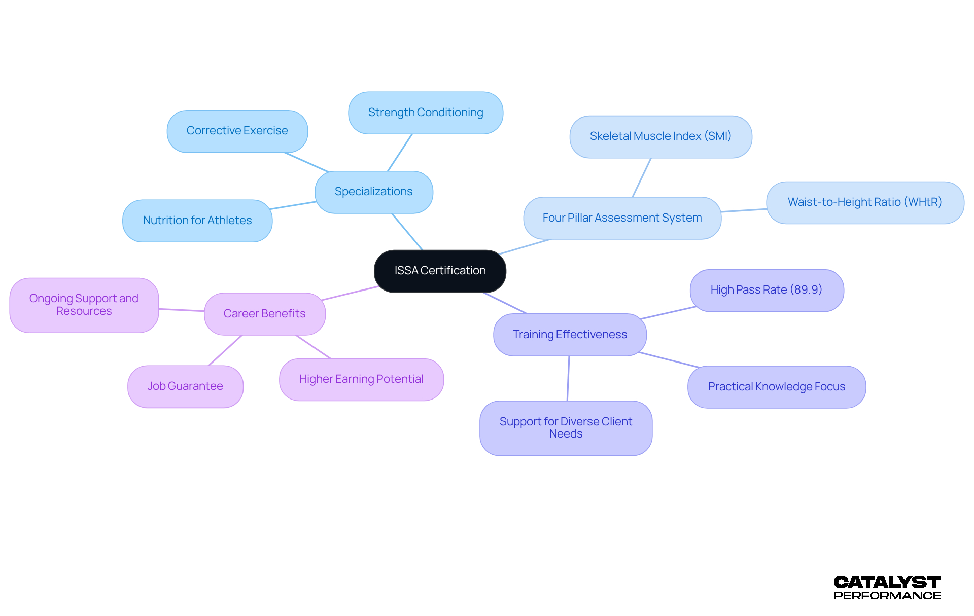 Start at the center with the ISSA certification, then explore the branches to see specializations, assessment metrics, and how this certification can boost a coach's career.