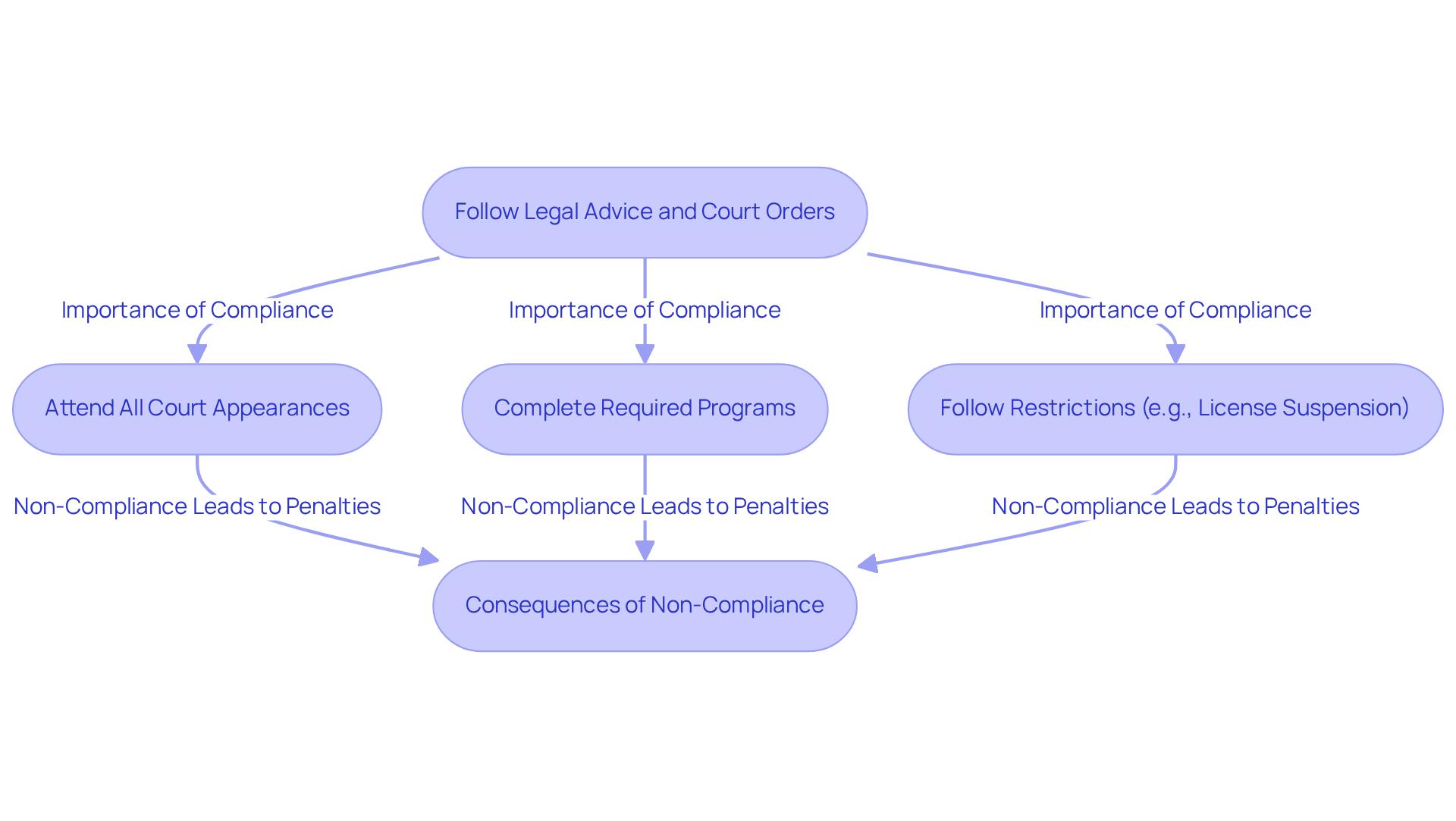 This flowchart outlines the essential steps you need to take to comply with legal advice and court orders. Each box represents a crucial action, and the arrows show the flow from one step to the next. The final box highlights the importance of following these steps to avoid serious consequences.