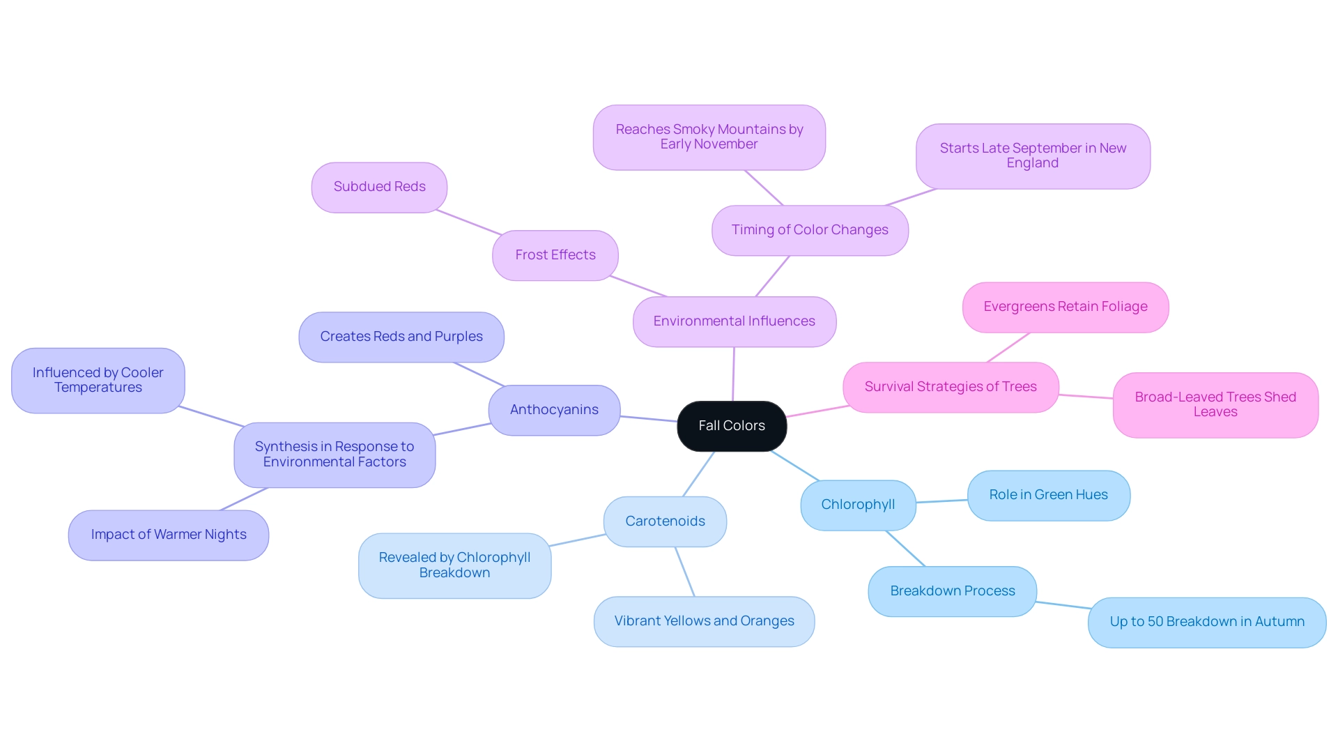 Each branch represents a pigment with its properties and influences, color-coded to facilitate easy understanding of their roles in fall foliage.