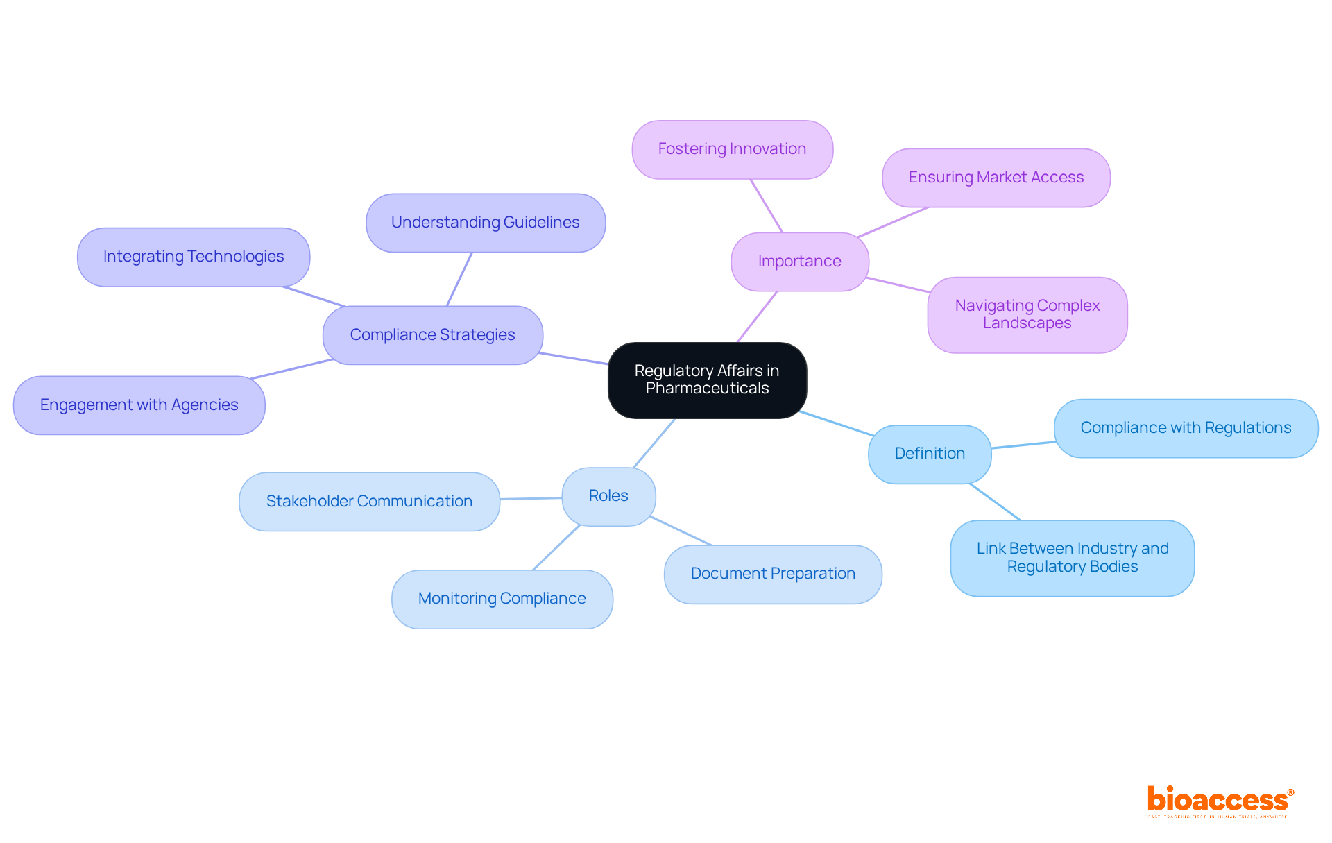 The central node represents the overall concept, while branches break it down into key categories. Each sub-branch details specific roles and strategies related to regulatory affairs, making it easy to understand how they interconnect.