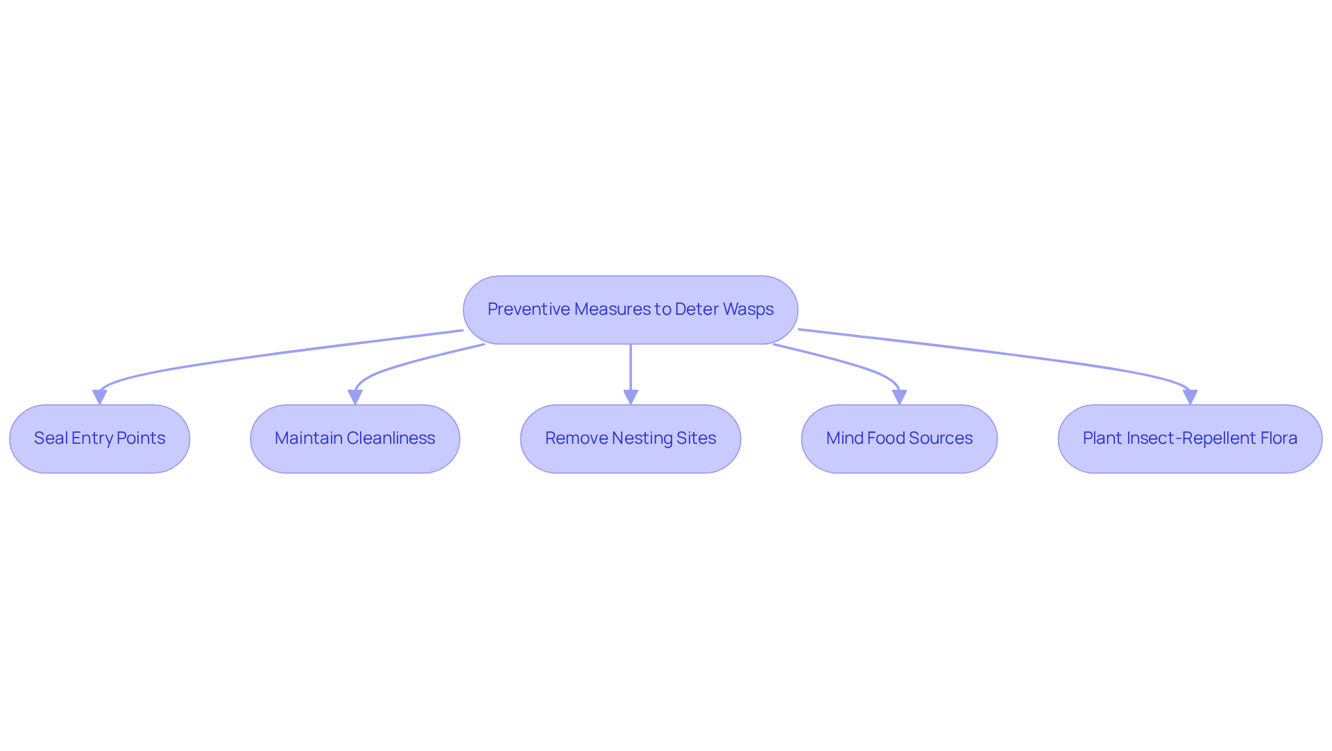 Follow the arrows to see the steps you can take to keep wasps away. Each box represents an action you can implement to create a more enjoyable outdoor space.