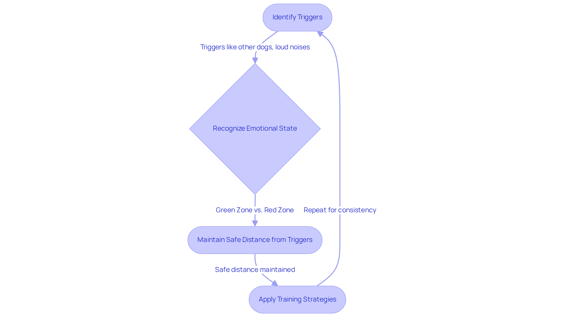 Follow the arrows to see how to help your reactive dog. Start by identifying what triggers their reactions, then understand their emotional state, maintain safe distances, and finally apply training techniques to improve behavior.