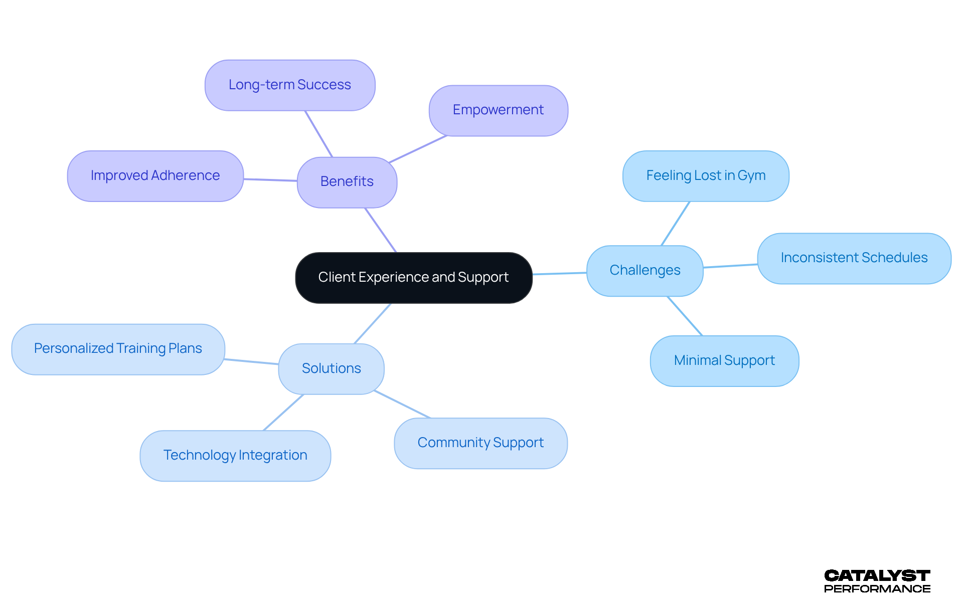 The center represents the main theme of client experience. Each branch shows a different aspect: challenges faced, solutions provided, and the benefits of a supportive community. Follow the branches to understand how they connect and contribute to a better health journey. The center represents the main theme of client experience. Each branch shows a different aspect: challenges faced, solutions provided, and the benefits of a supportive community. Follow the branches to understand how they connect and contribute to a better health journey.