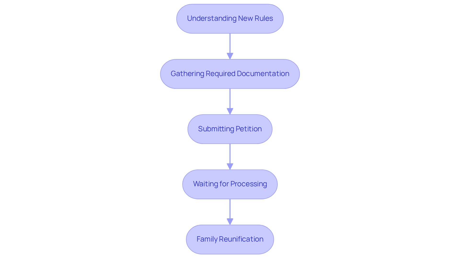 Each box represents a stage in the immigration process — follow the arrows to see how the steps connect and what actions you need to take.
