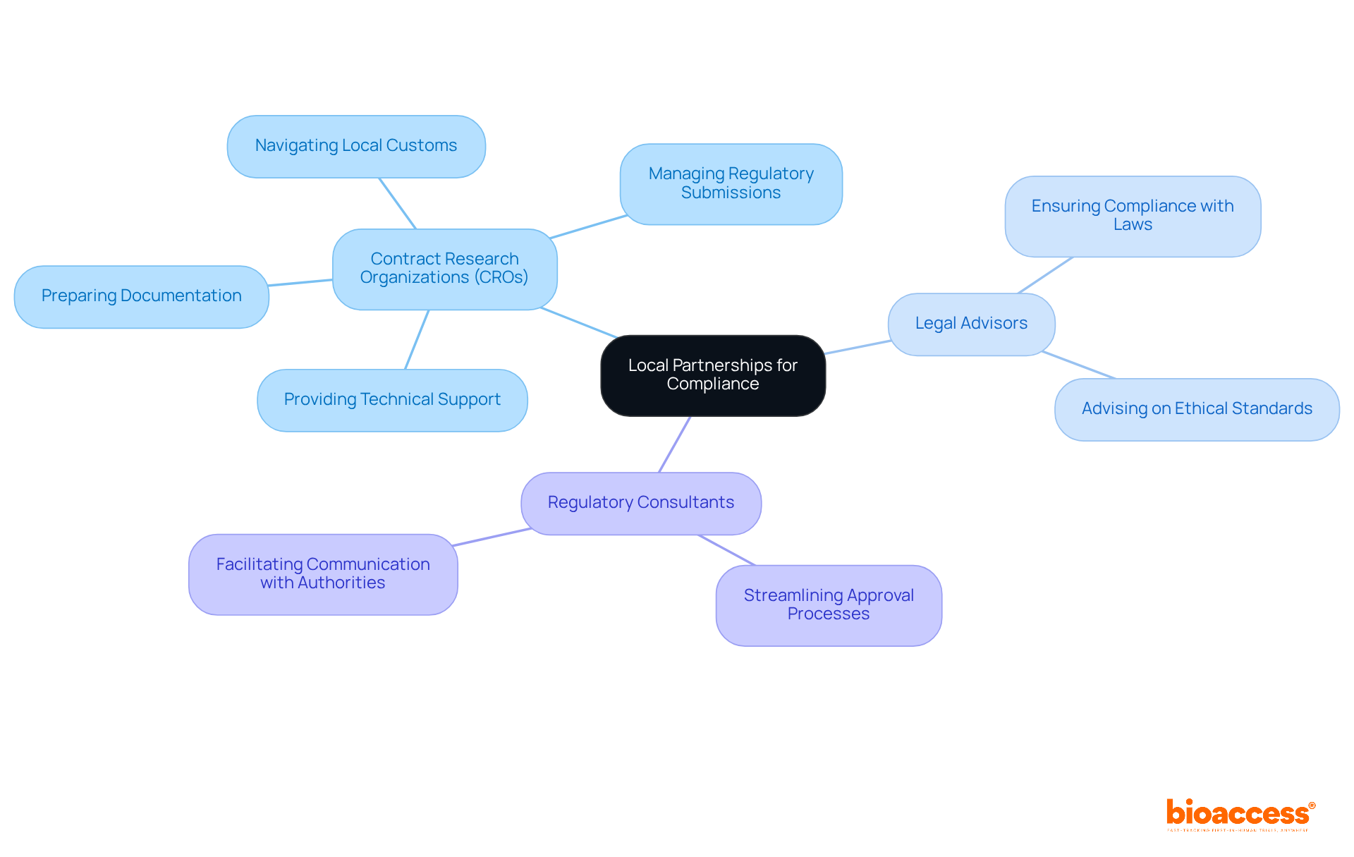 The center represents the main idea of forming local partnerships. Each branch shows a different partner type, and the sub-branches explain their specific contributions to compliance strategies.