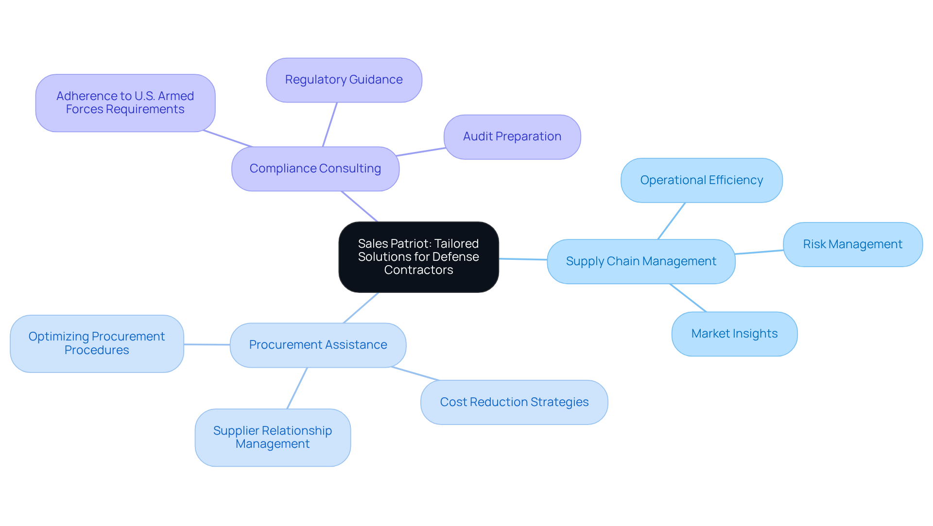 The center represents Sales Patriot's mission, while the branches show the key service areas. Each branch highlights how Sales Patriot supports defense contractors in navigating their operational needs.