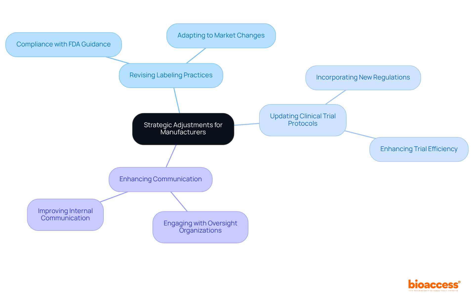 At the center, you'll find the main topic of strategic adjustments. Each branch represents a specific action manufacturers should take. Follow the branches to see how each area connects to the central theme.