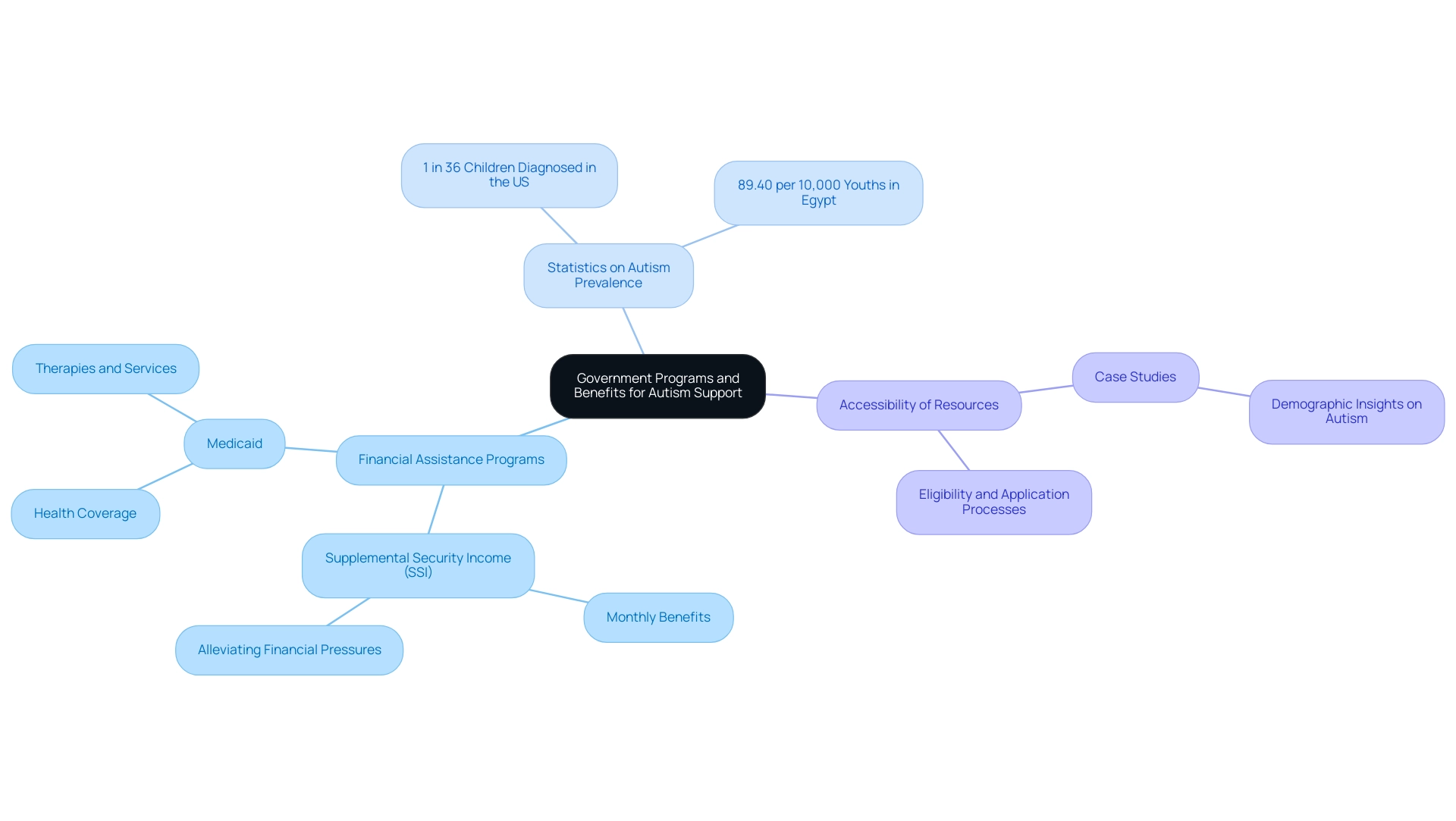 The central node represents the overall topic, with branches for financial assistance programs, autism prevalence statistics, and resource accessibility, each color-coded for easy reference.