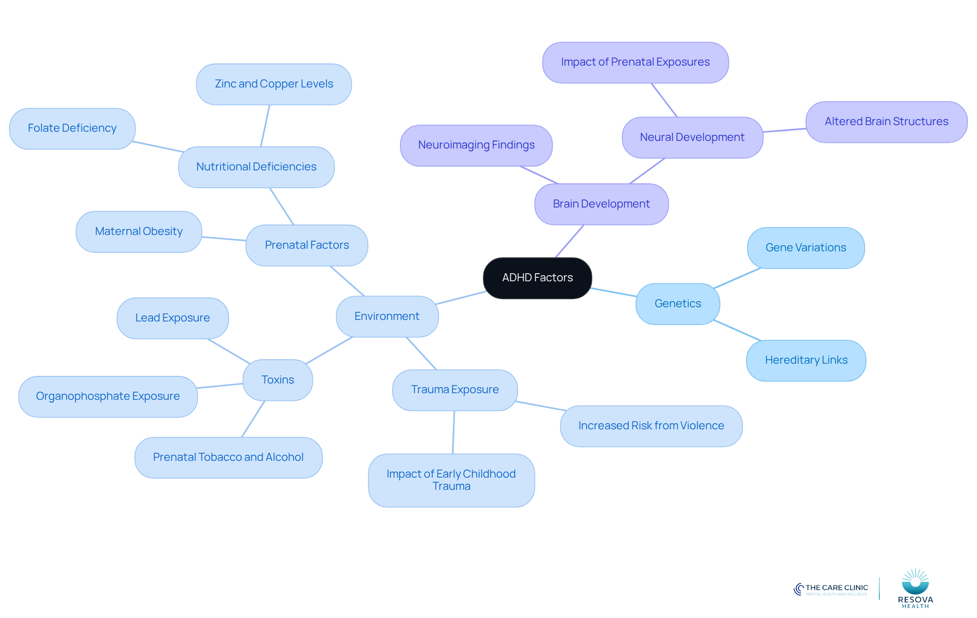 The central node represents ADHD, with branches showing how genetics, environment, and brain development contribute to the disorder. Each sub-node provides specific details about these influences.