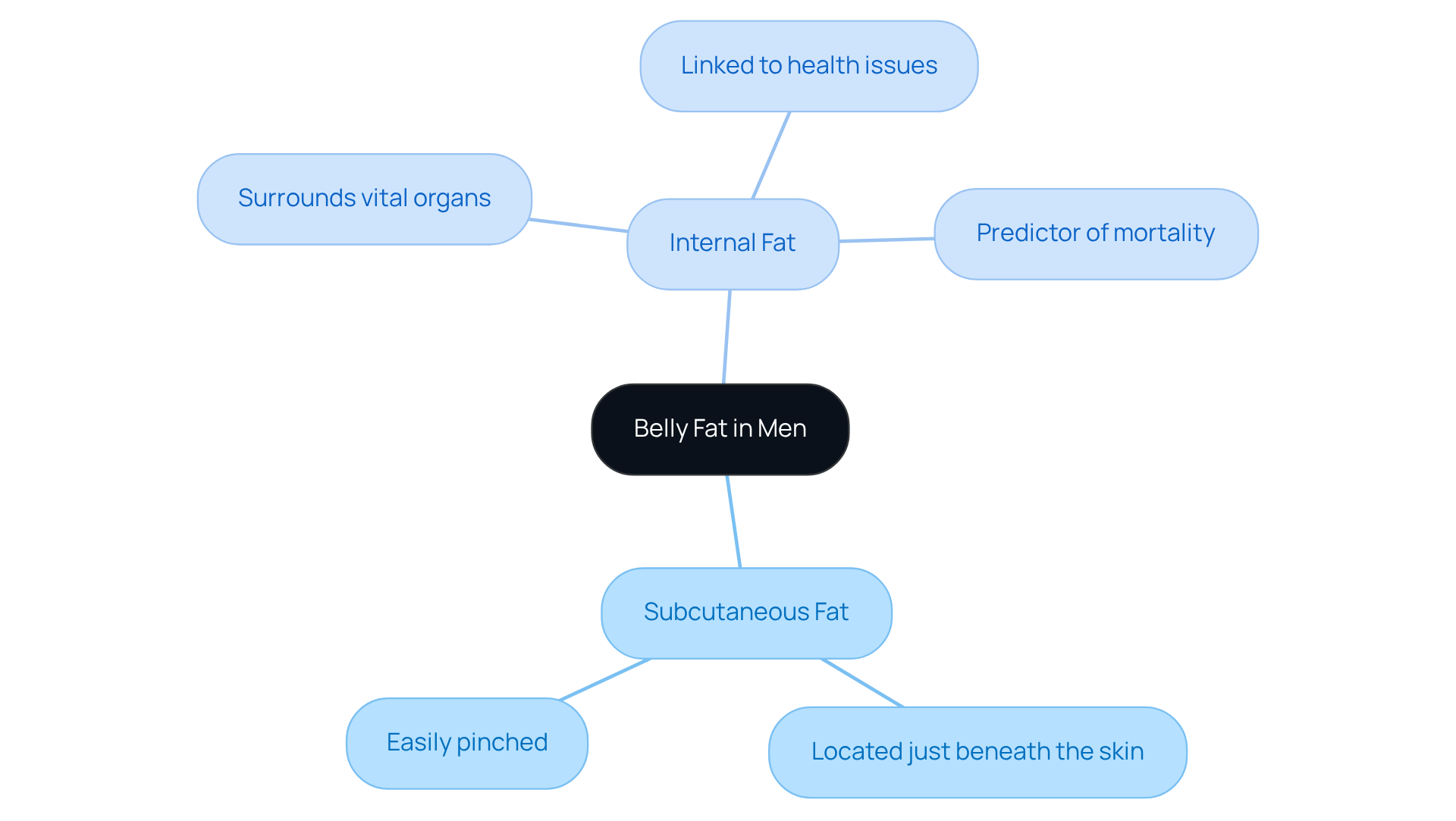 The central node represents the main topic of belly fat, while the branches show the two types and their characteristics. Follow the branches to learn about each type and its health implications. The central node represents the main topic of belly fat, while the branches show the two types and their characteristics. Follow the branches to learn about each type and its health implications.