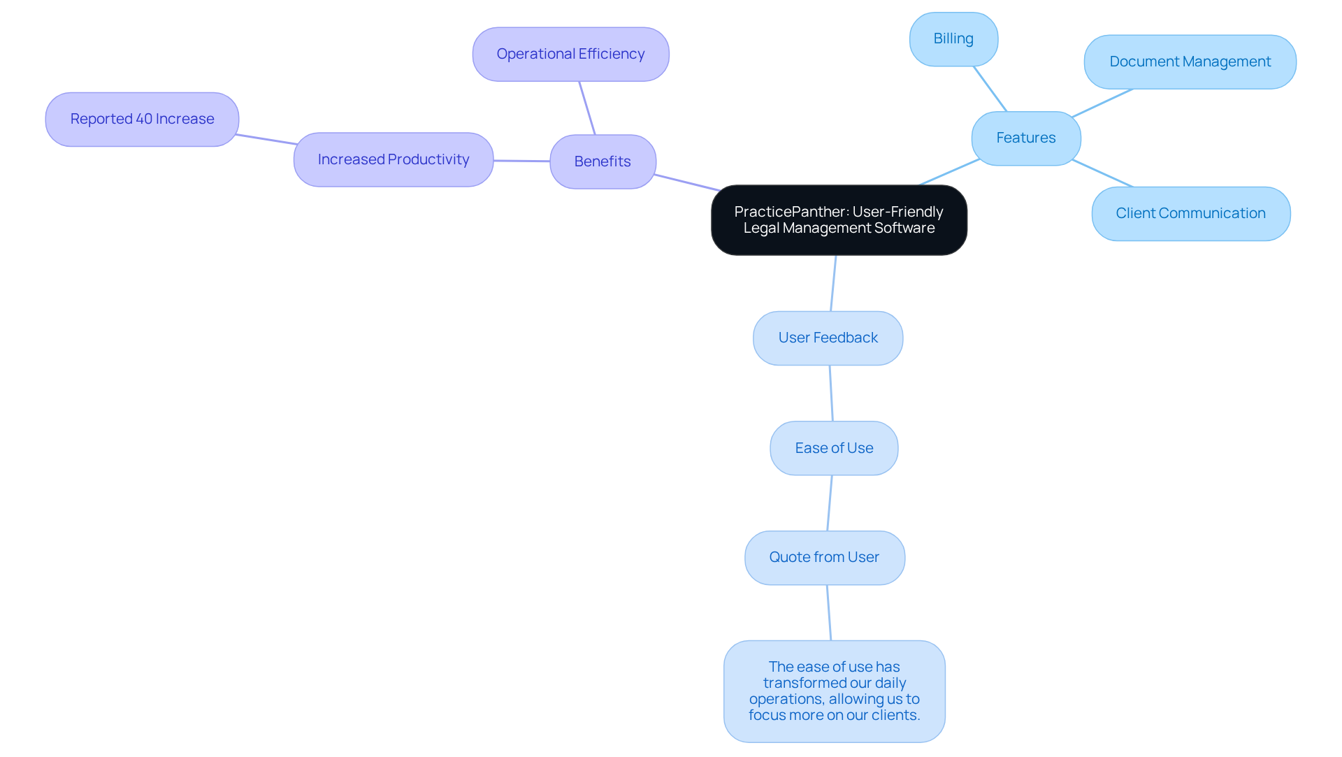 The center shows the main software, and the branches illustrate its features and user experiences. Each branch helps you understand how PracticePanther supports legal professionals.