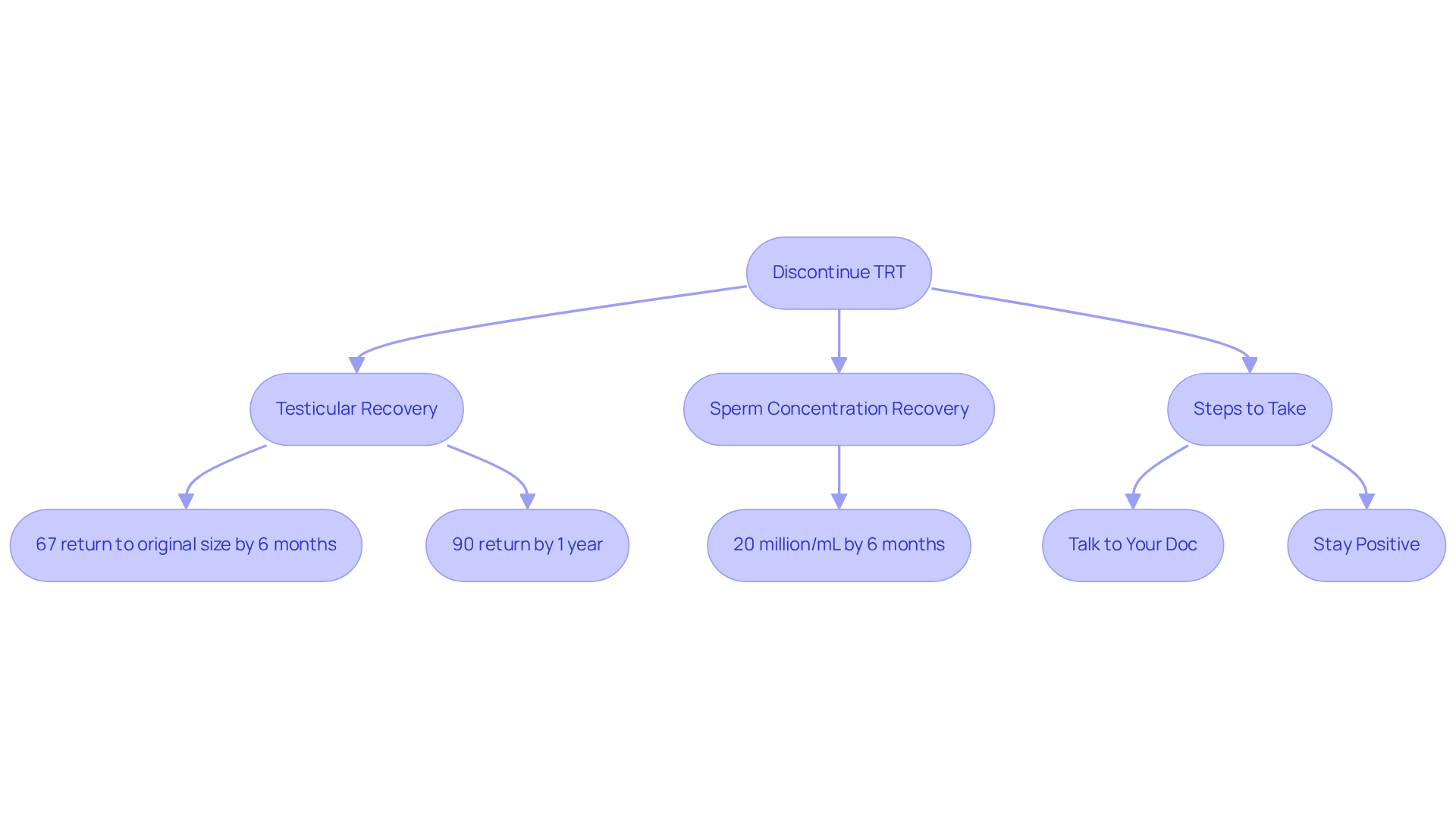 This flowchart shows the recovery process after stopping testosterone therapy. Follow the arrows to see how testicular size and sperm concentration improve over time, and remember the important steps to take for a smooth transition.