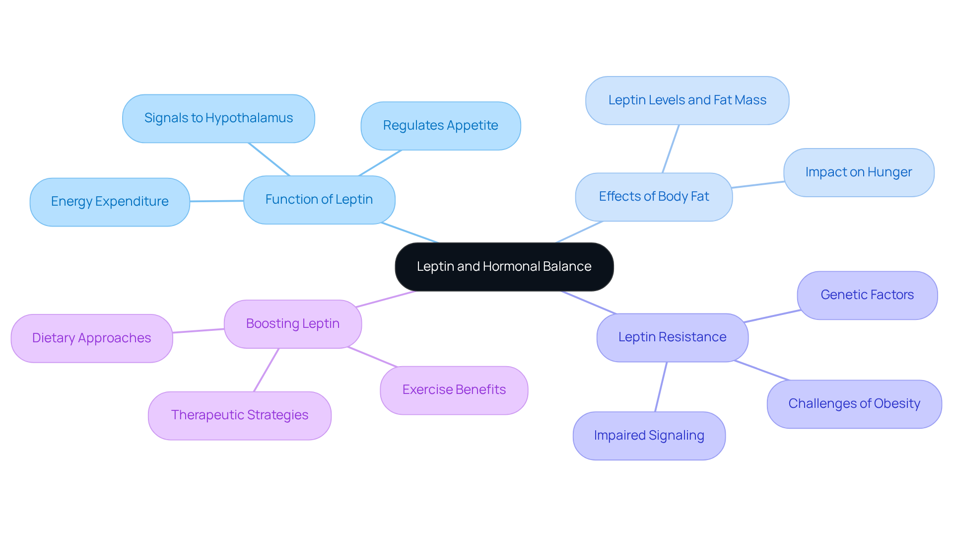 The central node represents leptin, while the branches show its functions and related concepts. Each color-coded branch helps you see how different aspects of leptin are connected, making it easier to grasp the overall picture.
