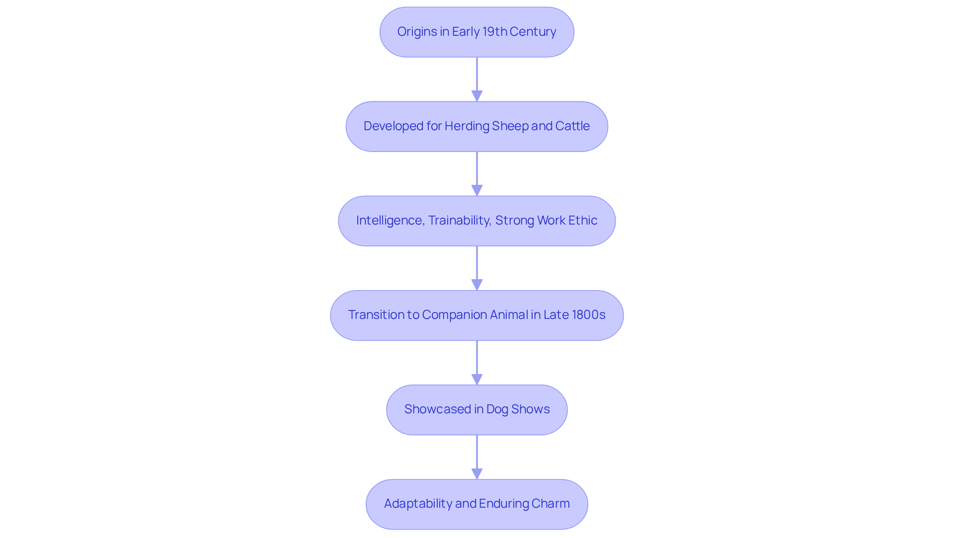 Each step in the flowchart represents a significant moment in the Scotch Collie's history — from its origins as a working dog to becoming a family pet. Follow the arrows to see how the breed has transformed over time. Each step in the flowchart represents a significant moment in the Scotch Collie's history — from its origins as a working dog to becoming a family pet. Follow the arrows to see how the breed has transformed over time.
