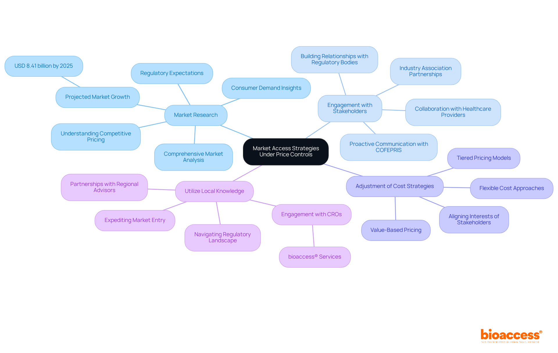 The central node represents the overall theme, while each branch highlights a key strategy. Follow the branches to explore specific actions and insights related to each strategy.