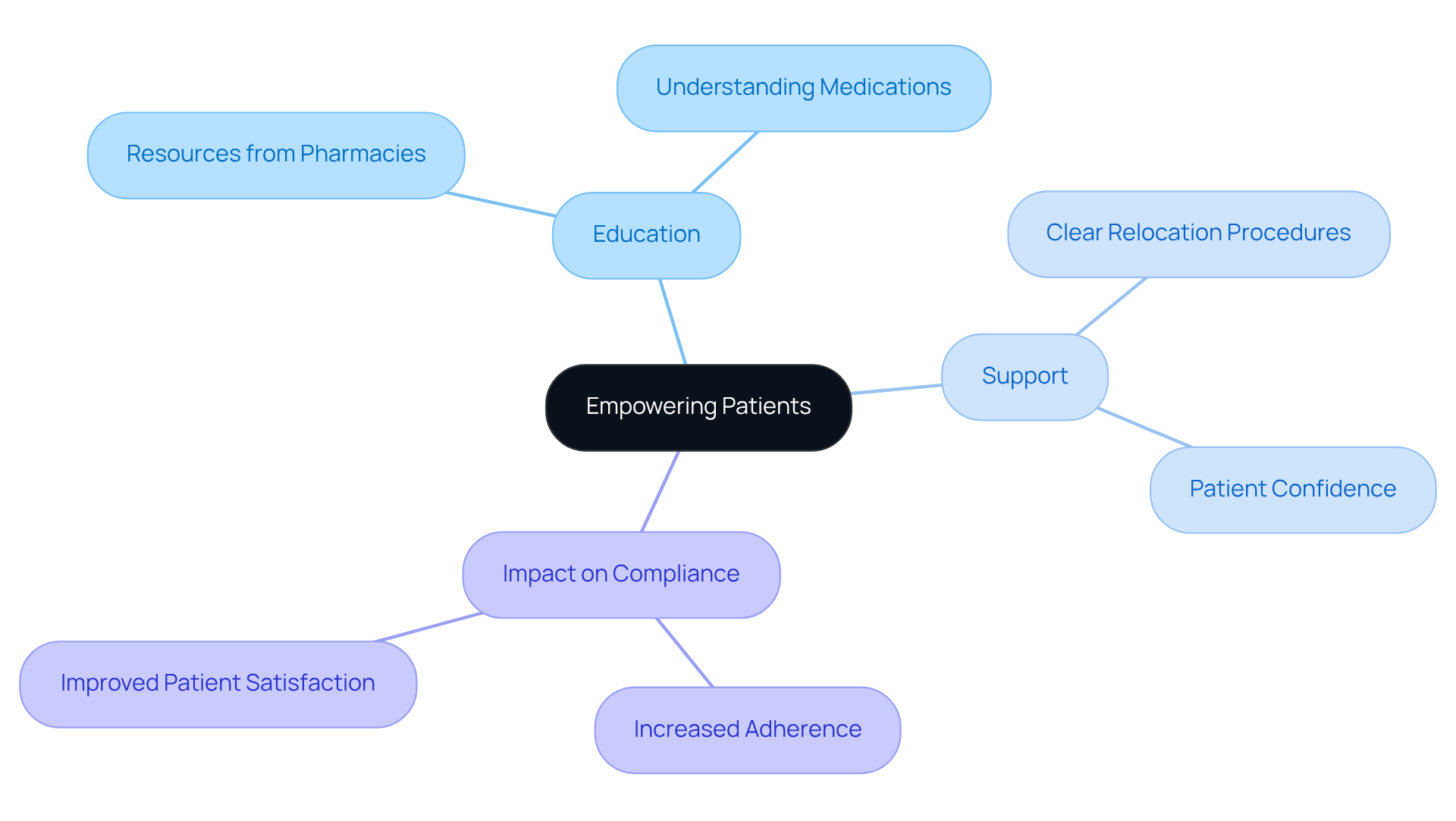 The center represents the main goal of empowering patients. Each branch shows how education and support contribute to this goal, helping patients feel more confident and informed about their health decisions.