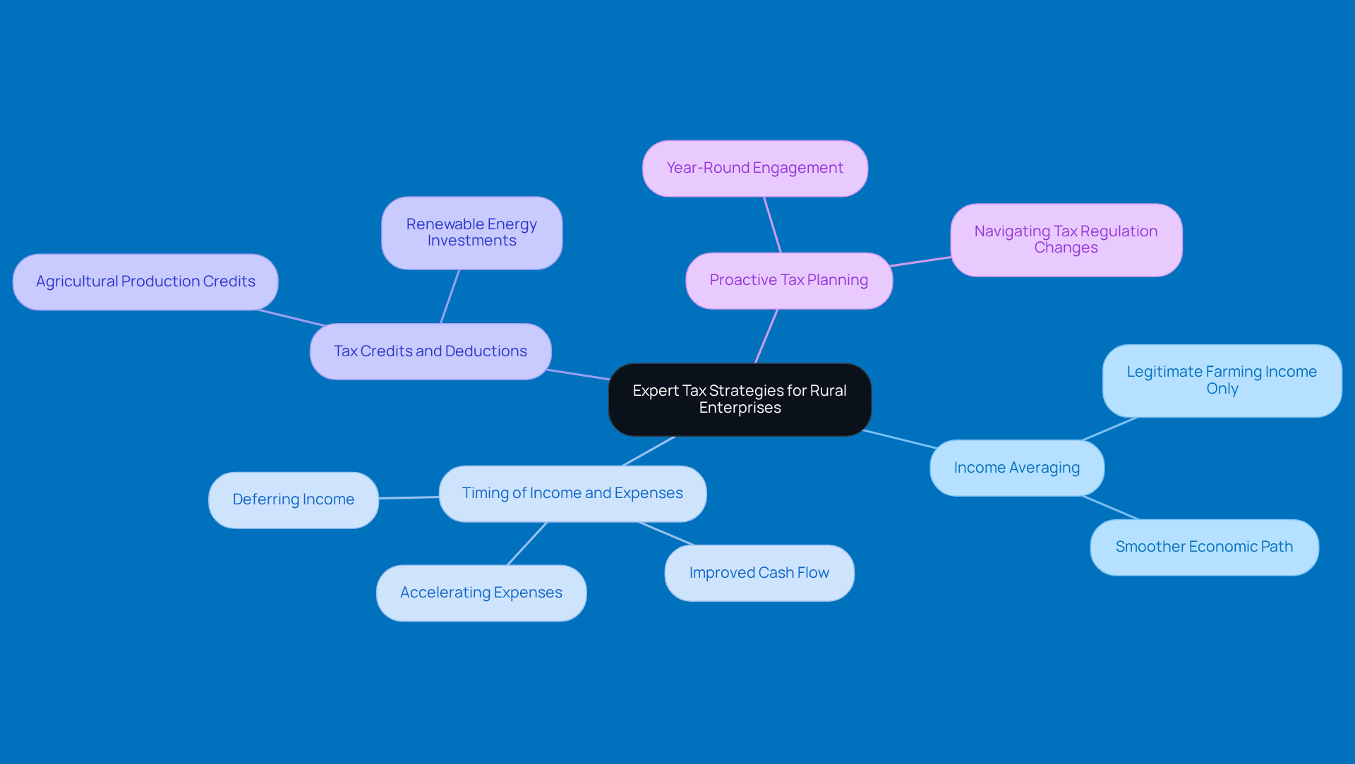 The central node represents the main theme of tax strategies. Each branch shows a different strategy, and the sub-branches provide more details about how these strategies can benefit rural enterprises. The central node represents the main theme of tax strategies. Each branch shows a different strategy, and the sub-branches provide more details about how these strategies can benefit rural enterprises.