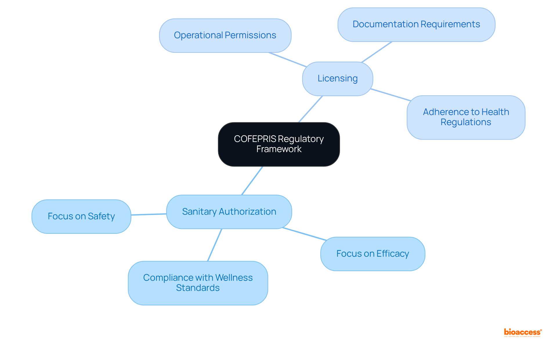 The center represents the regulatory framework, branching out to show two key areas of focus: sanitary authorization (for safety and efficacy) and licensing (for business operations). Each branch details specific aspects of these concepts. The center represents the regulatory framework, branching out to show two key areas of focus: sanitary authorization (for safety and efficacy) and licensing (for business operations). Each branch details specific aspects of these concepts.