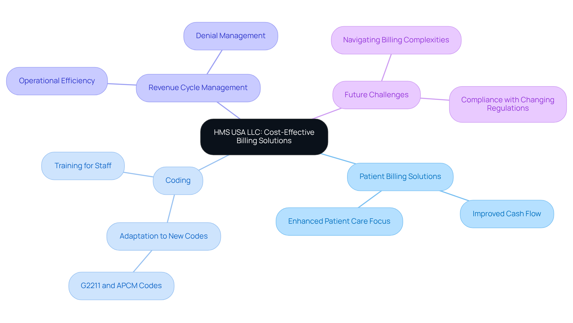 The center represents HMS USA LLC's core offerings, with branches showing the different services and their benefits. Each color-coded branch helps you quickly identify related topics. The center represents HMS USA LLC's core offerings, with branches showing the different services and their benefits. Each color-coded branch helps you quickly identify related topics.