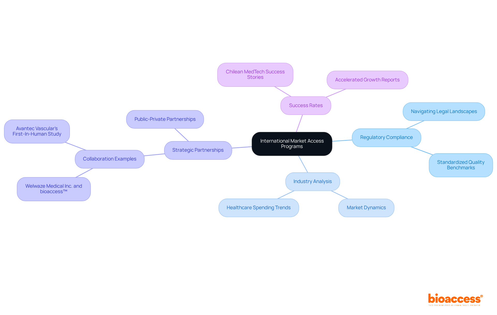 The central node represents the main theme of international market access, while the branches show different areas of support and success stories. Each branch connects to specific resources or examples, illustrating how they contribute to global growth.