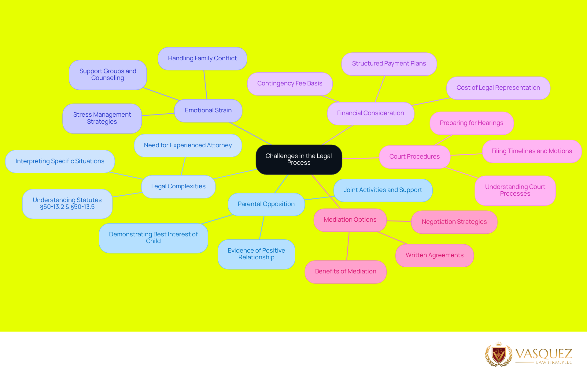 This mindmap illustrates the various challenges grandparents face in the legal process. Each branch represents a specific challenge, and the sub-branches provide strategies or considerations to help navigate those challenges. Follow the branches to see how each issue connects to the overall theme of preparing for legal challenges.